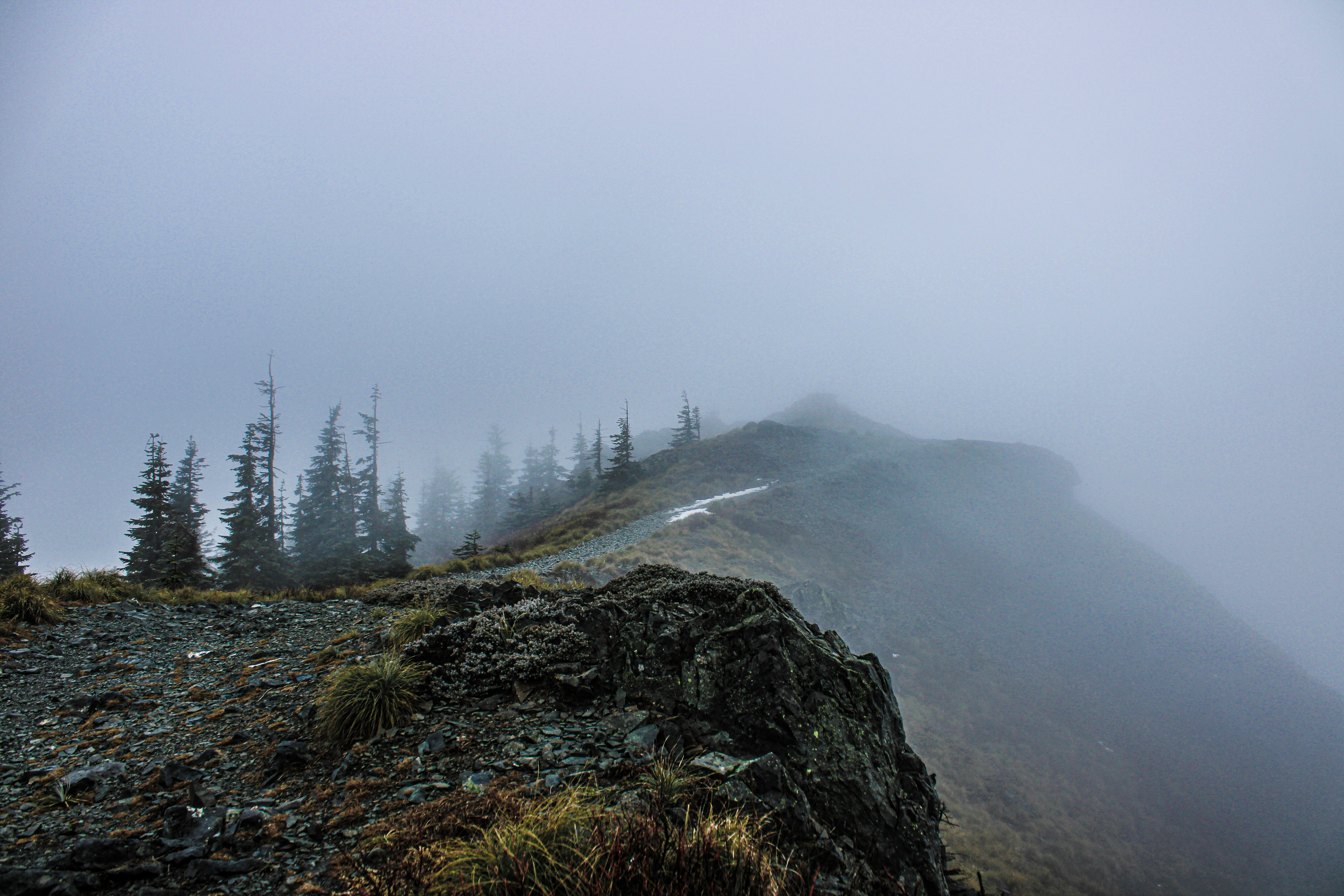 Photo by Peter Robbins with Canon EOS 2000D