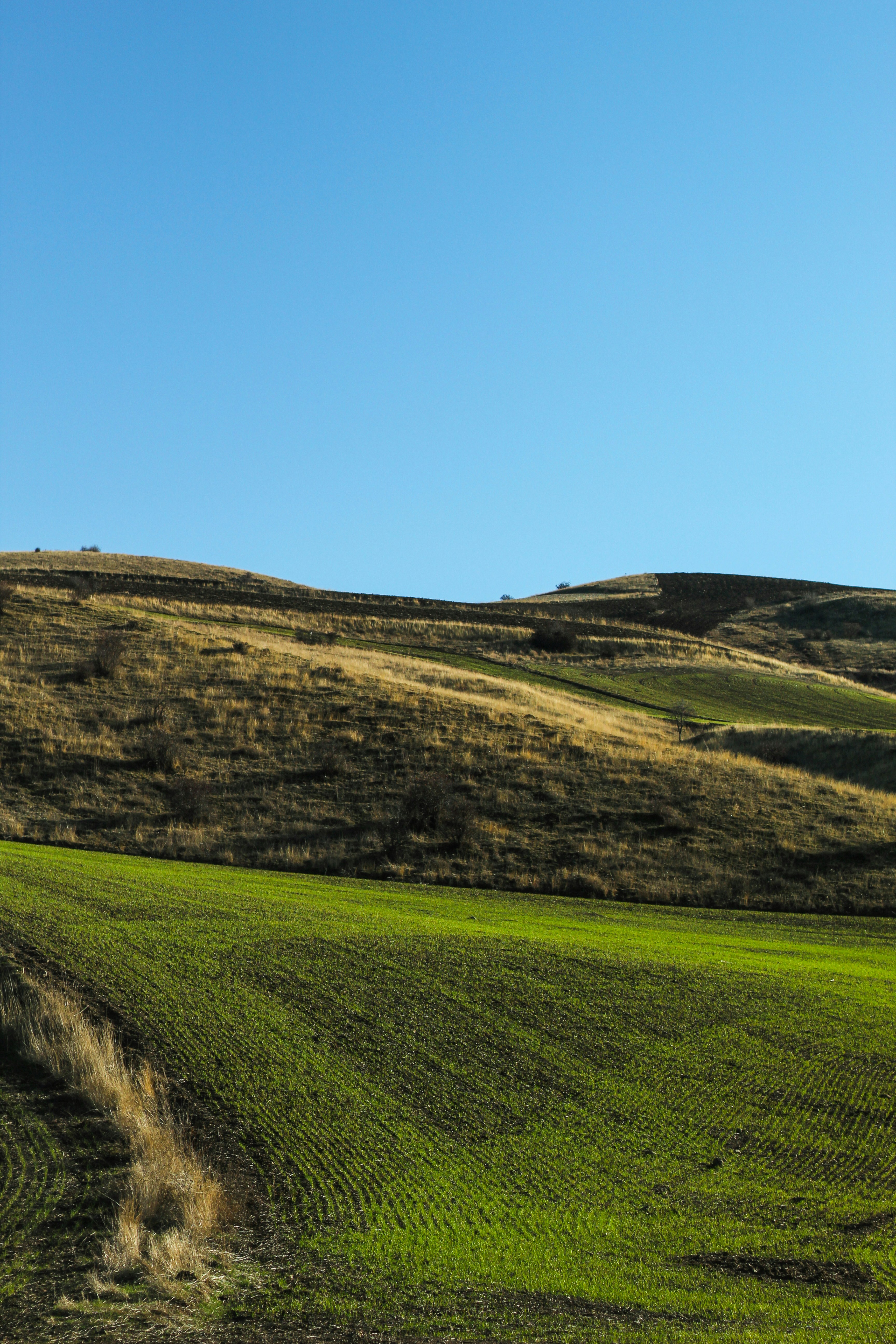 Photo by Esra Korkmaz with Canon EOS 4000D