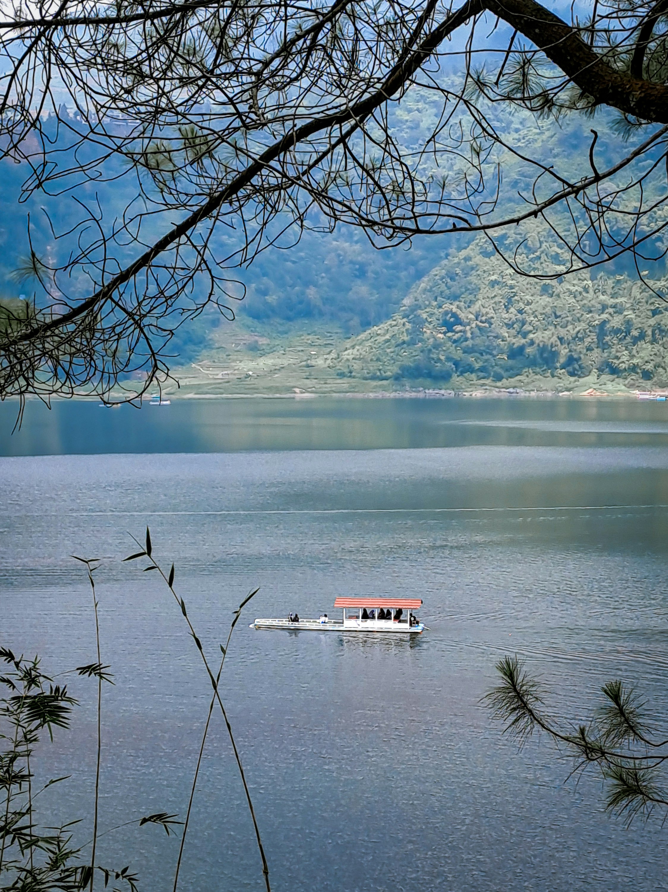 Boat on a calm lake framed by foreground branches and distant forested hills.