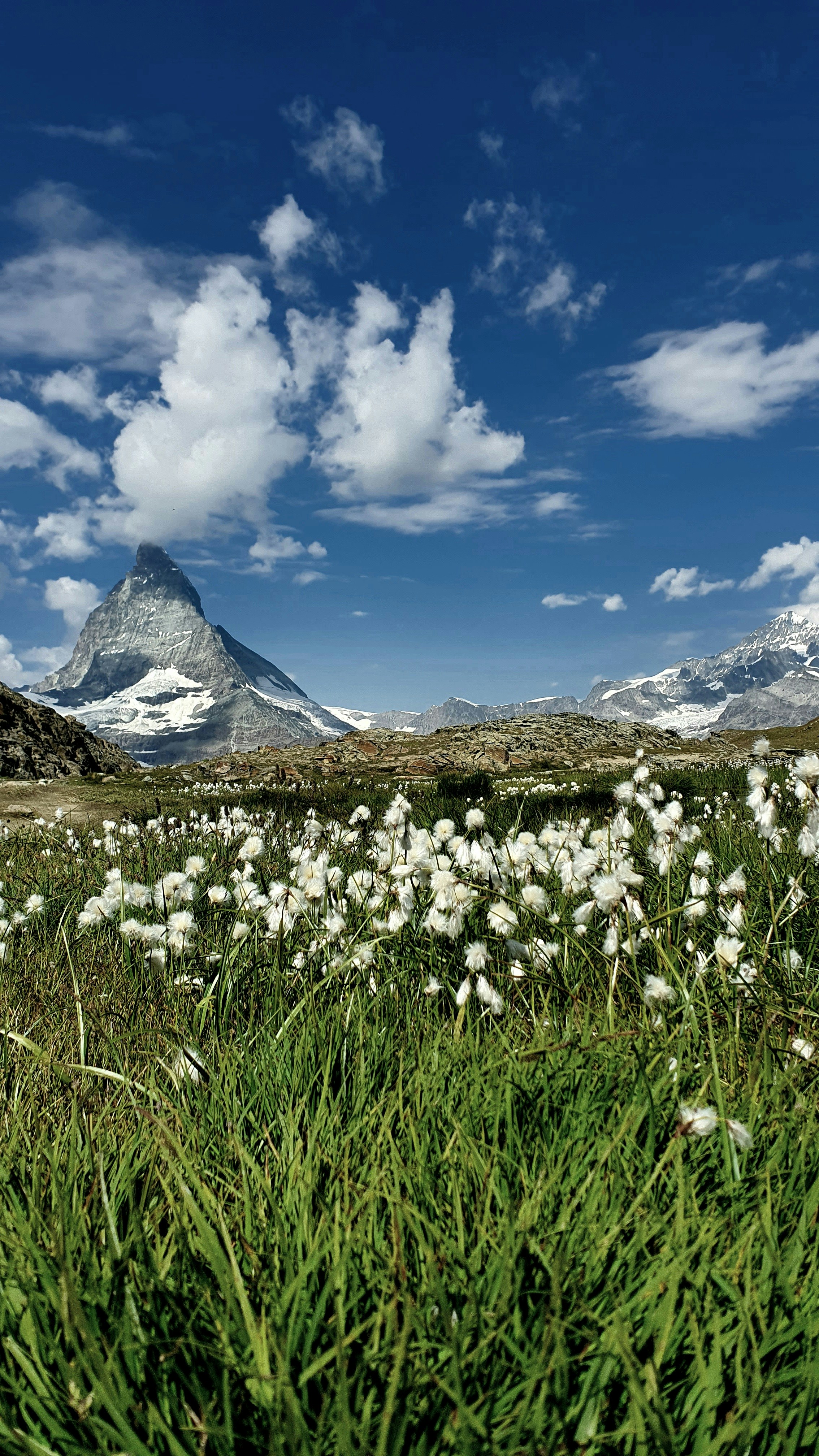 Cloud-topped Peak Over a Meadow of Cotton Grass