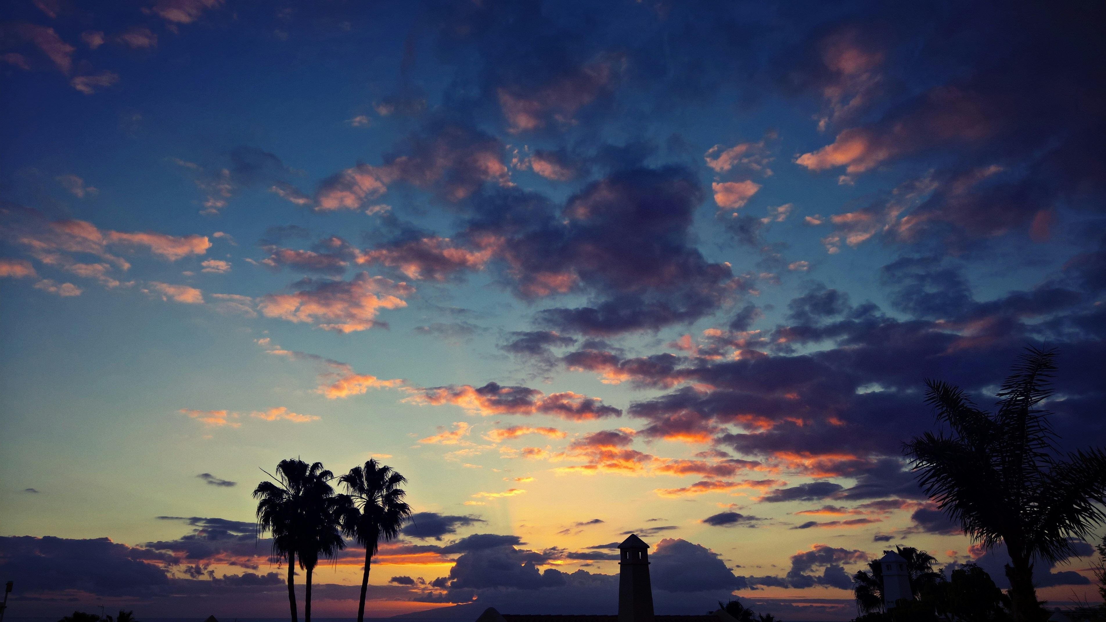 A sunset with palm trees and a clock tower in the distance photo – Free ...