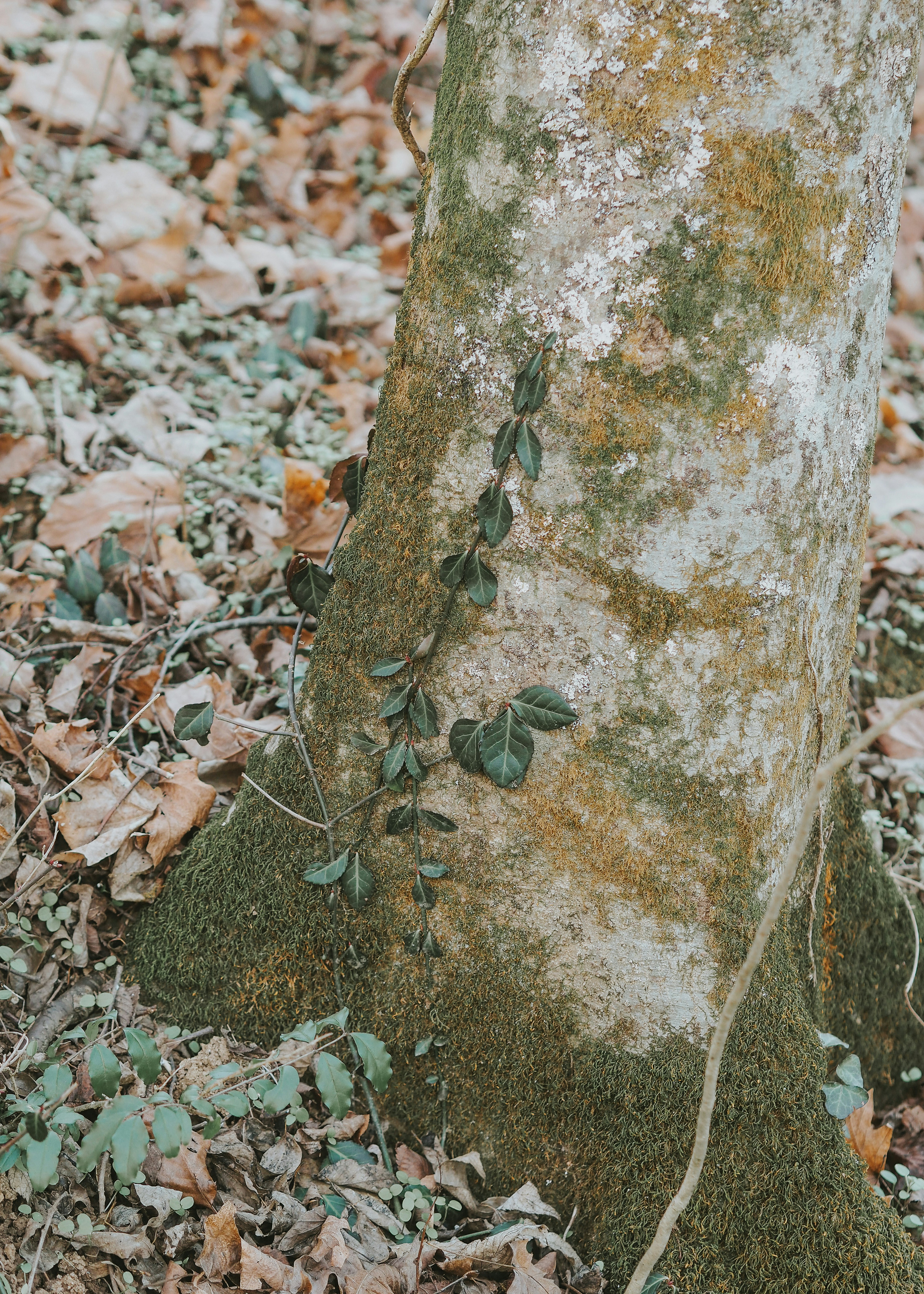 Photo by Barbara Burgess with Olympus PEN-F