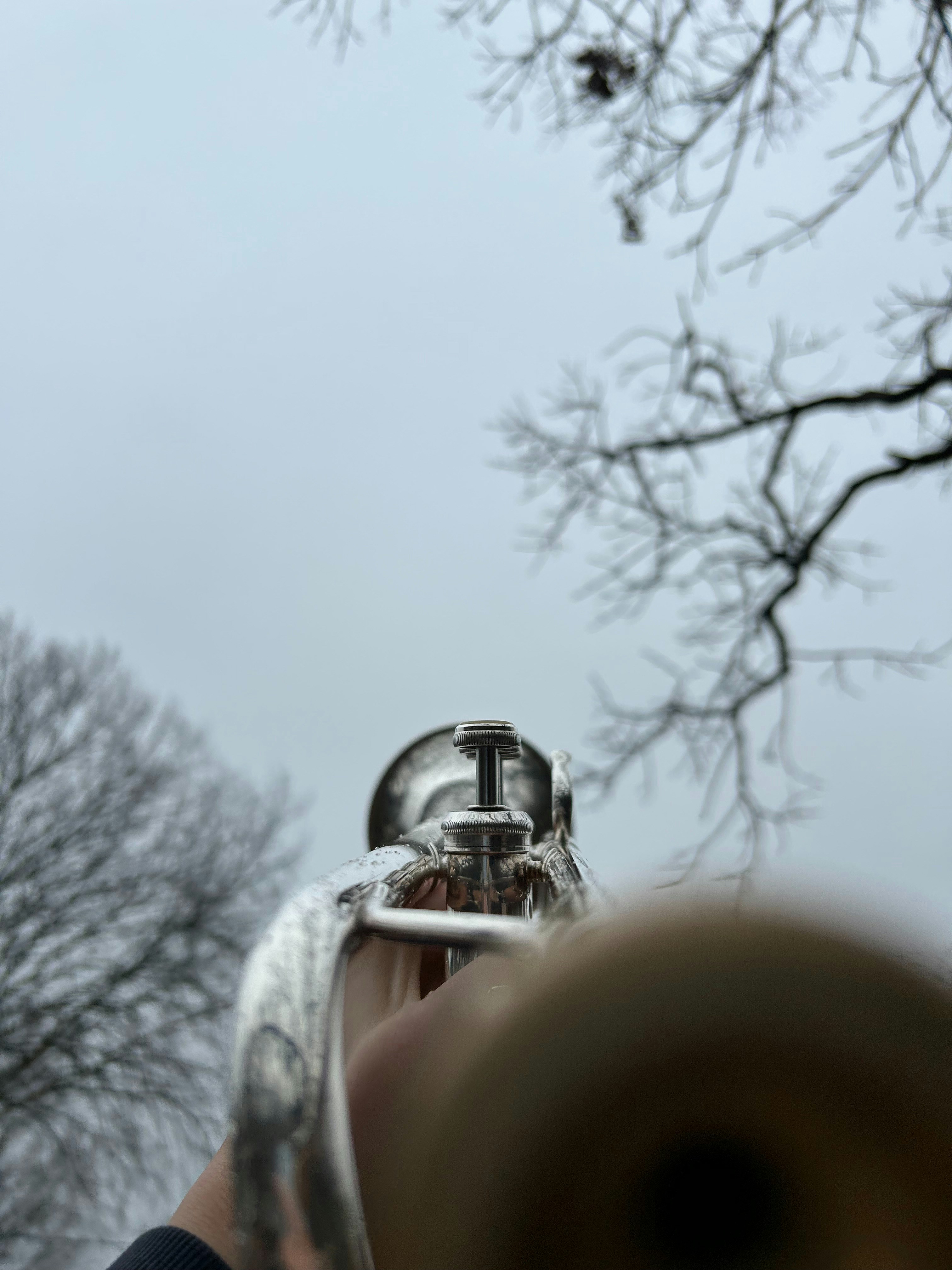 Trumpet Reaching Toward a Gray Winter Sky
