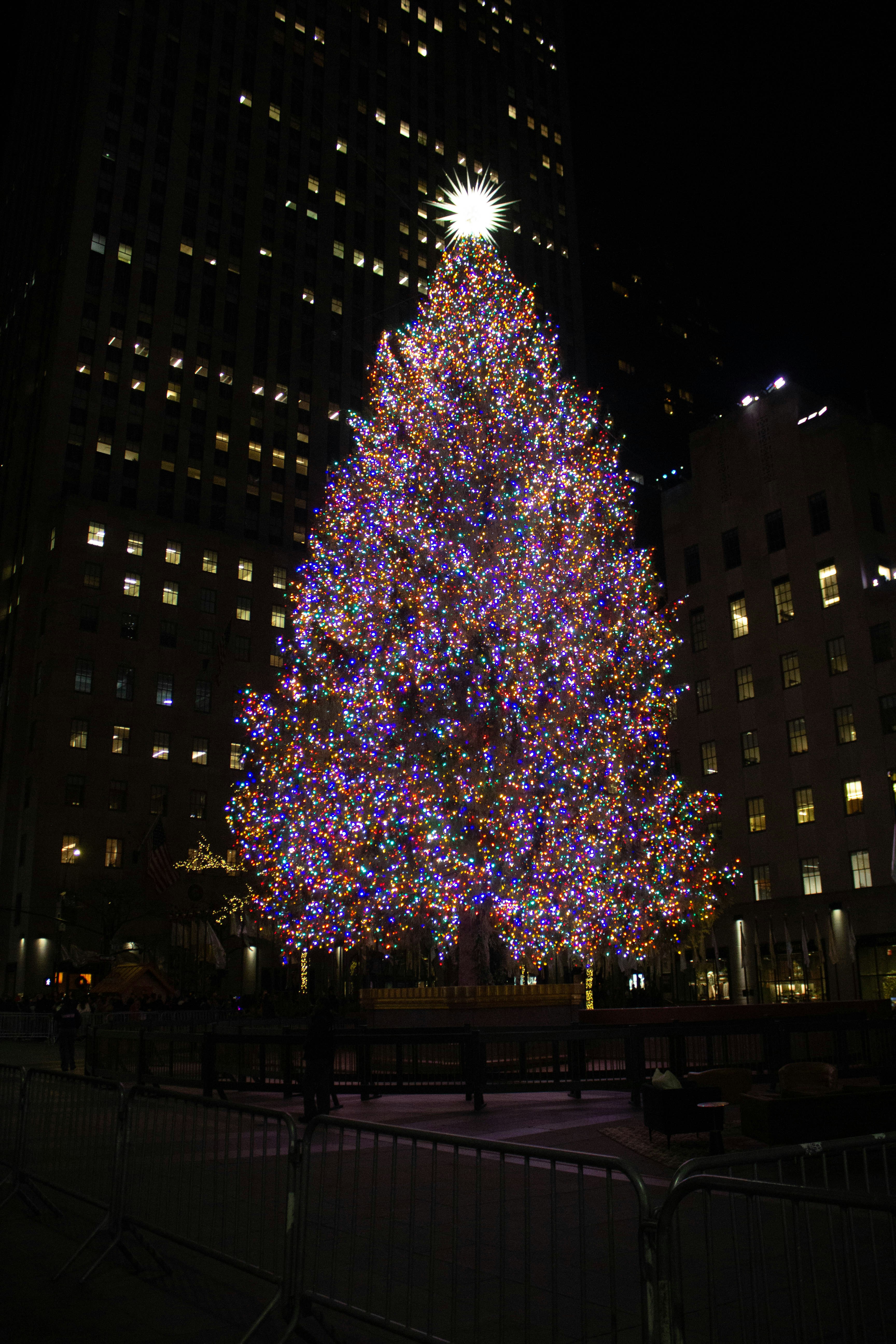 A large christmas tree is lit up in the city photo – Free Christmas ...