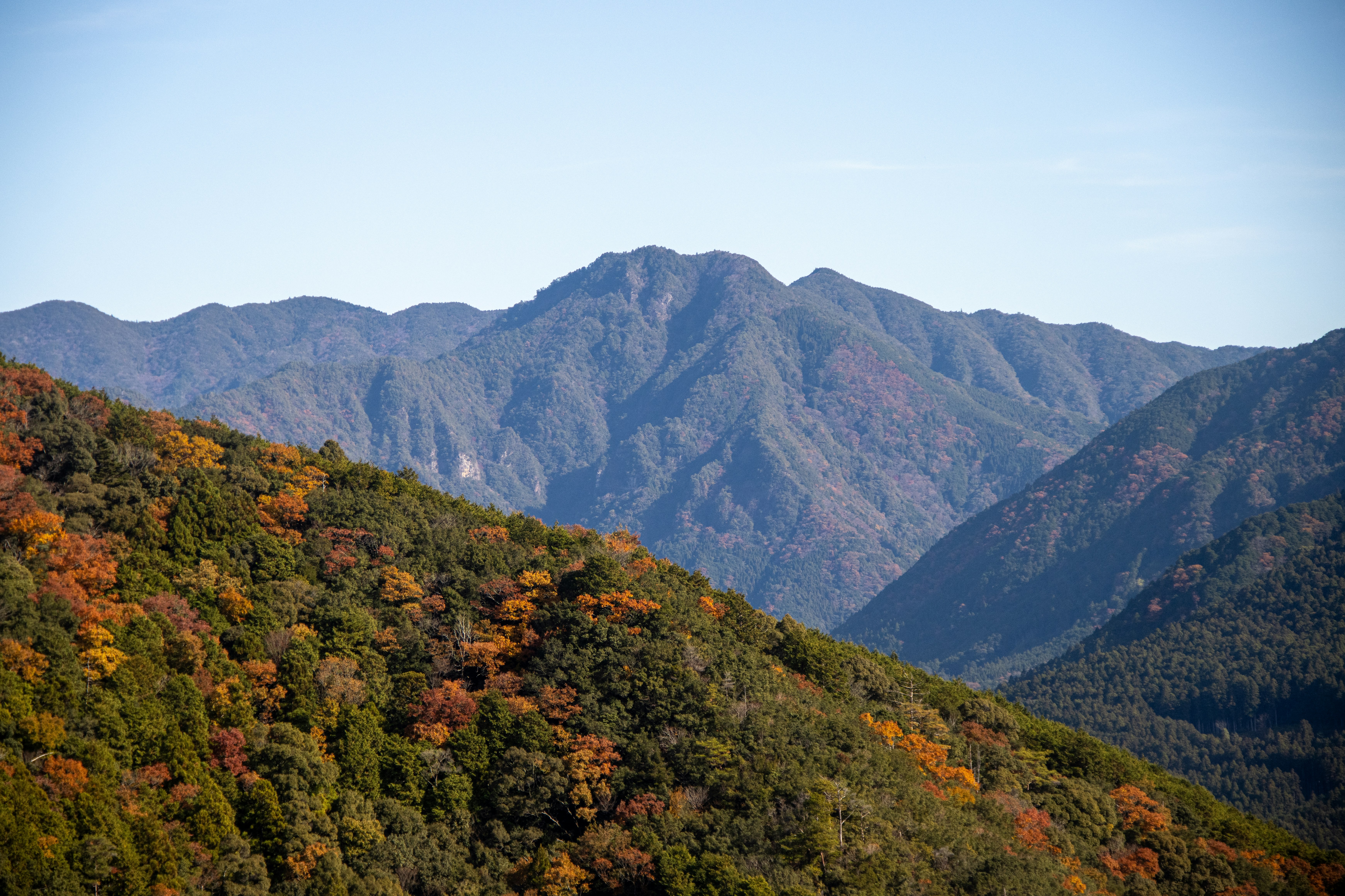 Mountain range with vibrant autumn foliage in the foreground under a clear blue sky.