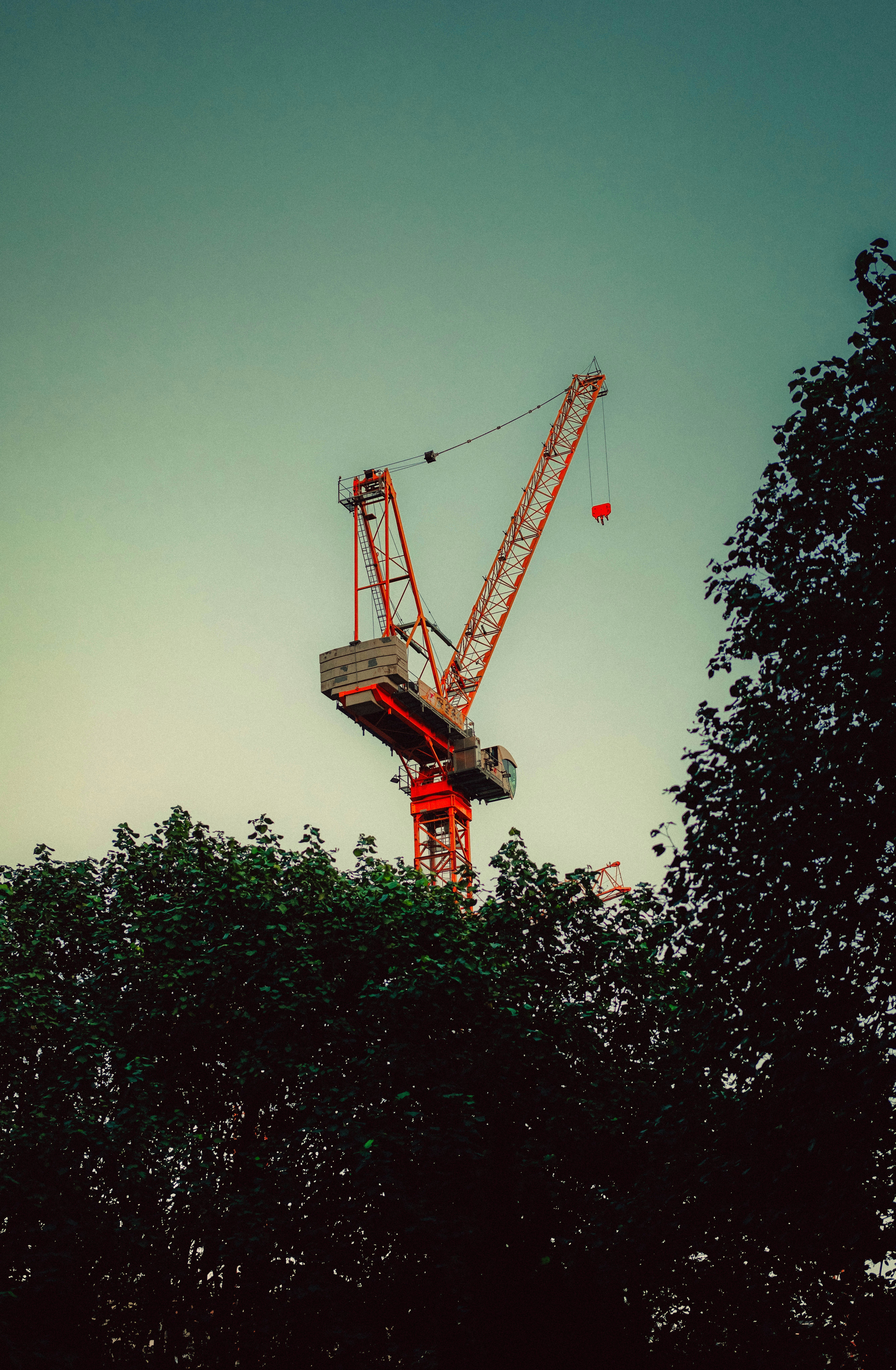 Crane Looms Over the Canopy as Dusk Colors the Sky
