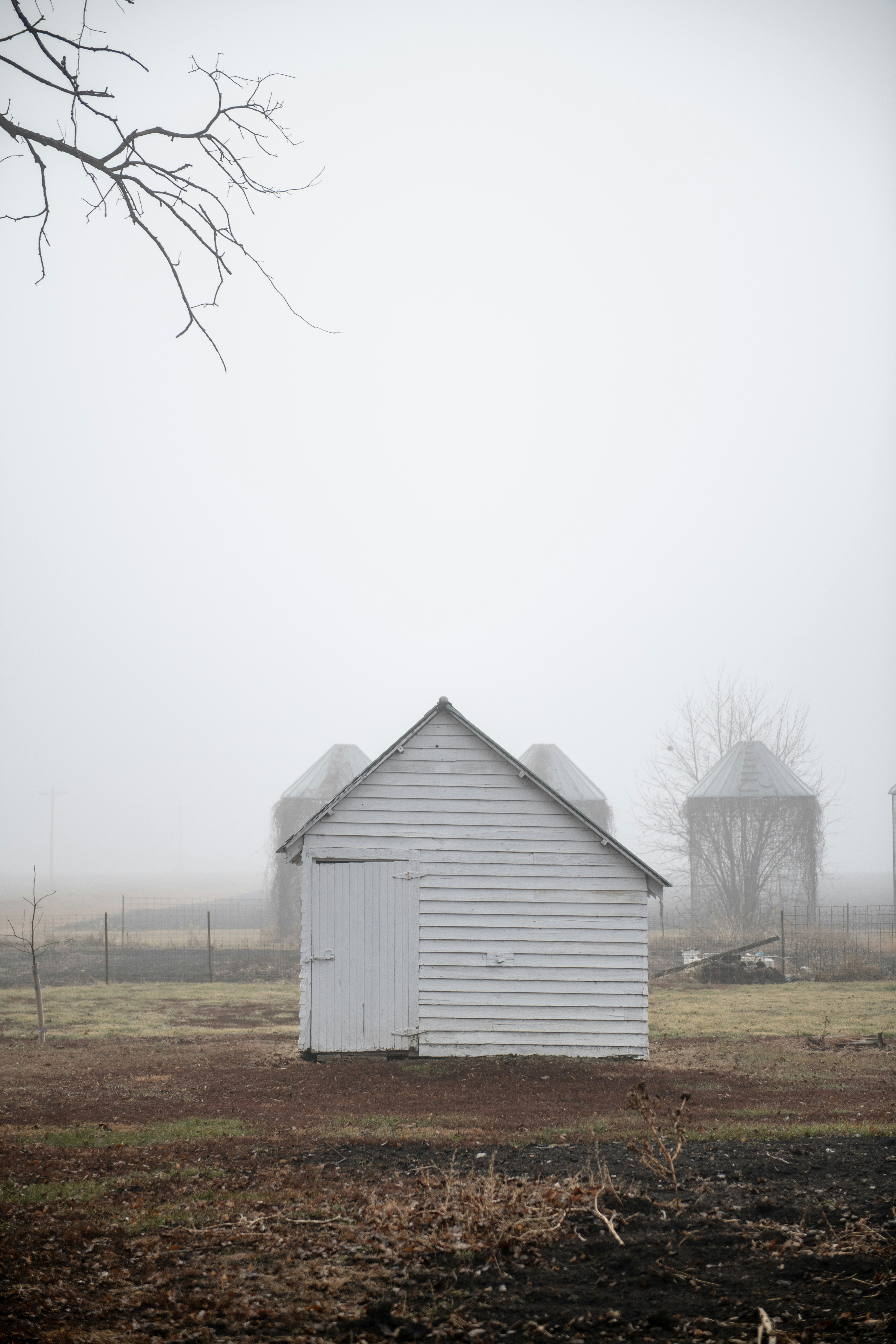 Hushed Fog Enfolds a White Shed in an Open Field