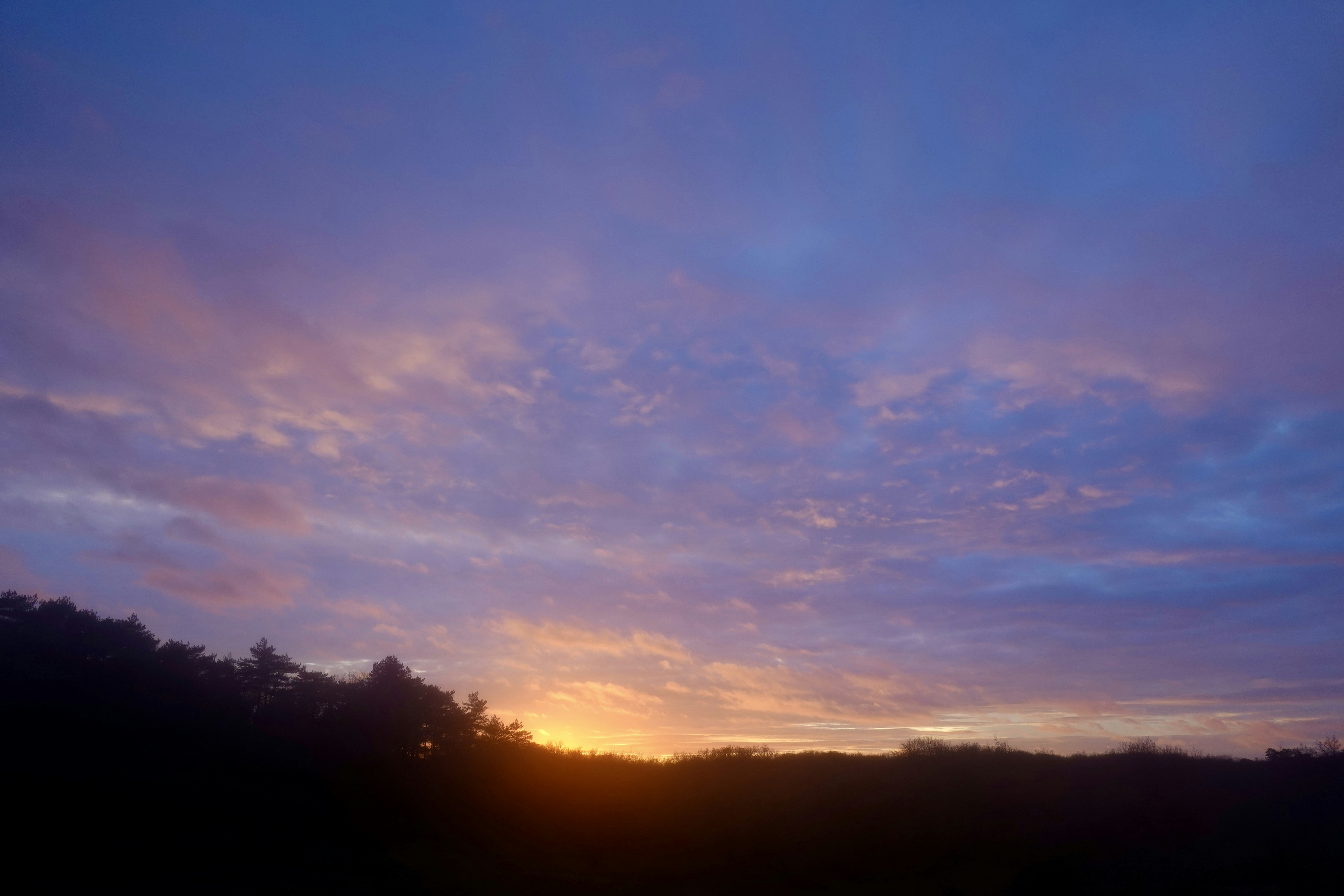 Sundown at the inner dunes with the sun sinking away behind the pine and oak tree forests