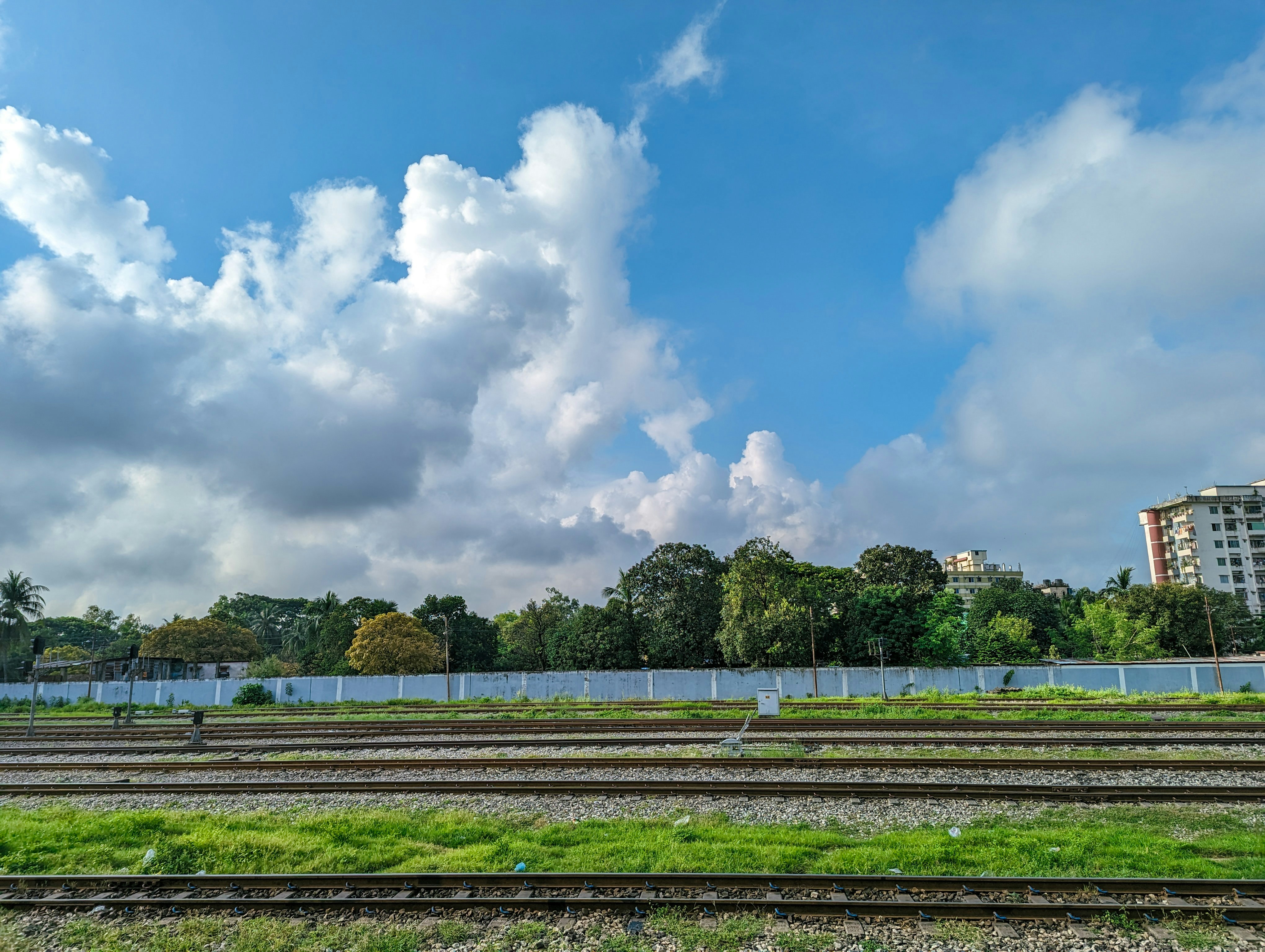 a train track running through a lush green park