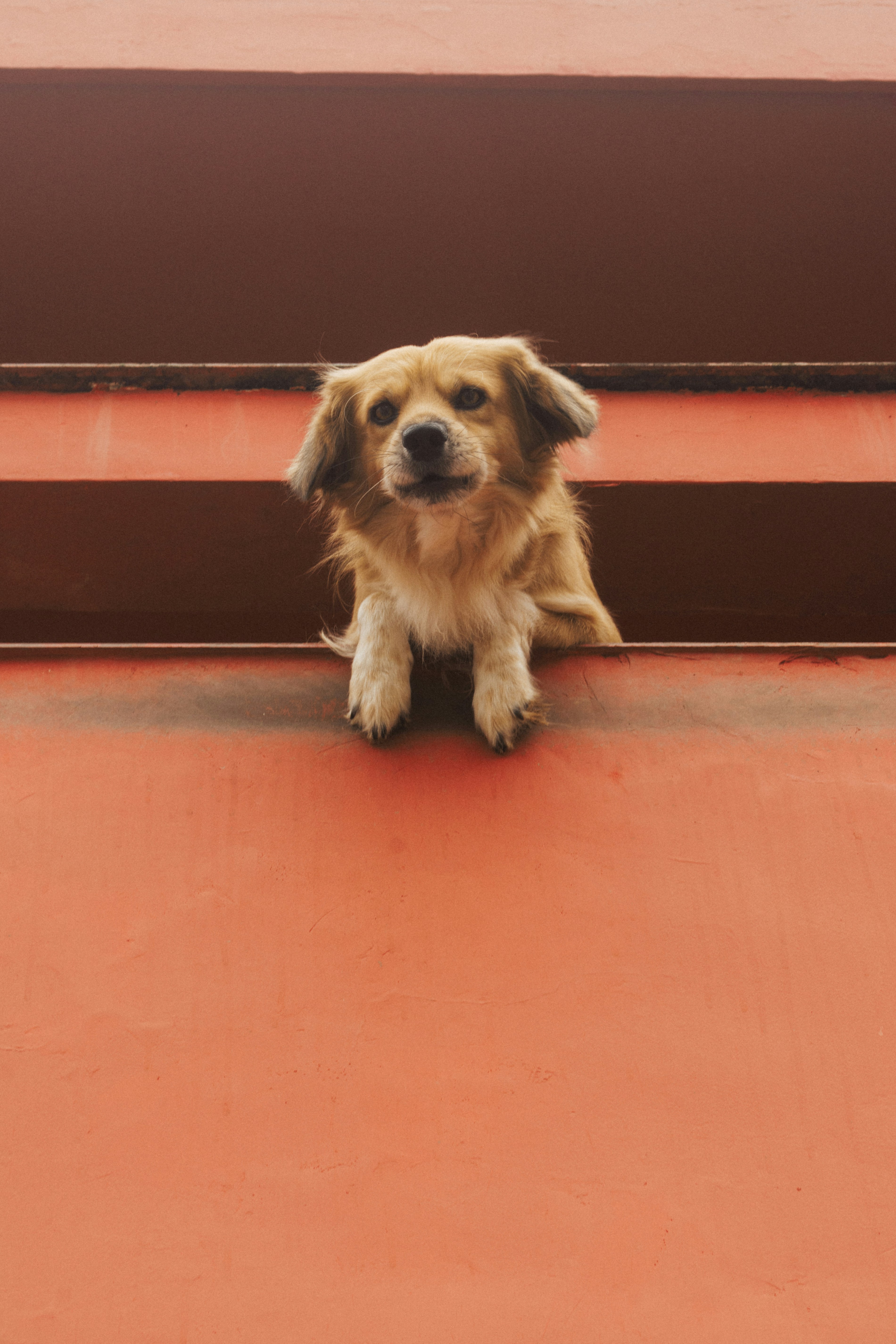 Tiny Scout on a Rust-Red Staircase