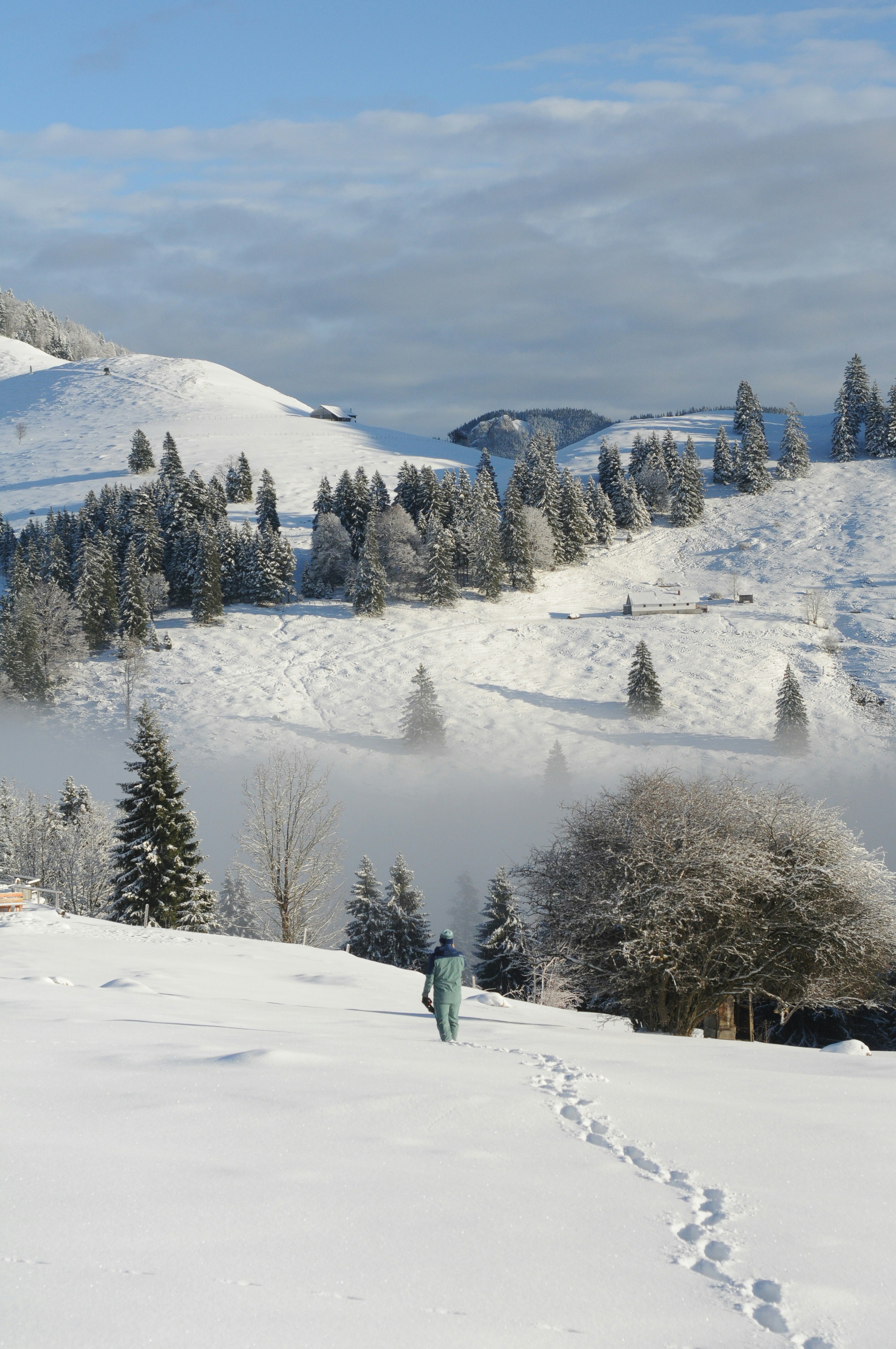 The Green Path: A Lone Traveler Through a Snowbound Alpine Valley