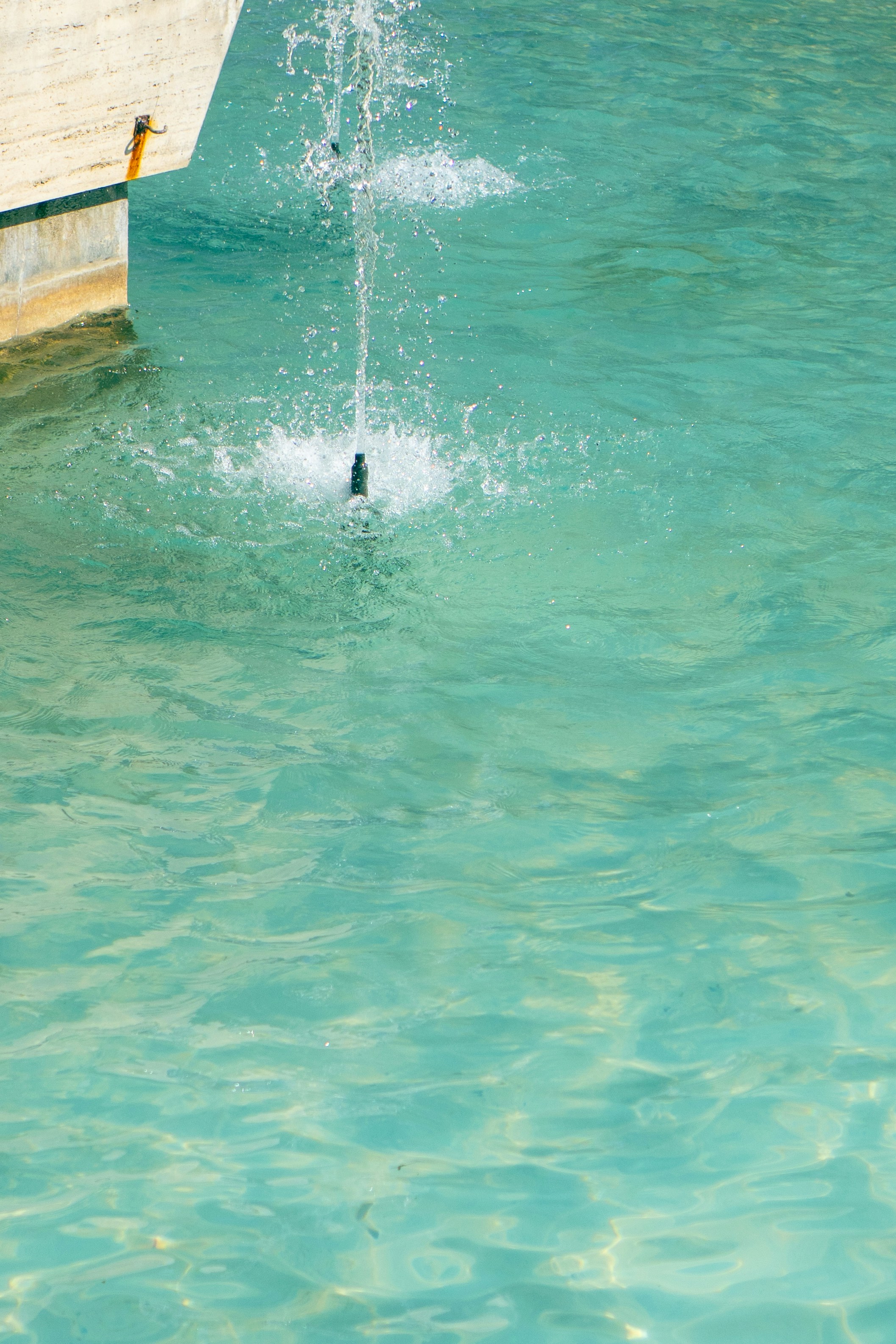 Cerulean Jet by the Pier: A Quiet Splash in Turquoise Waters