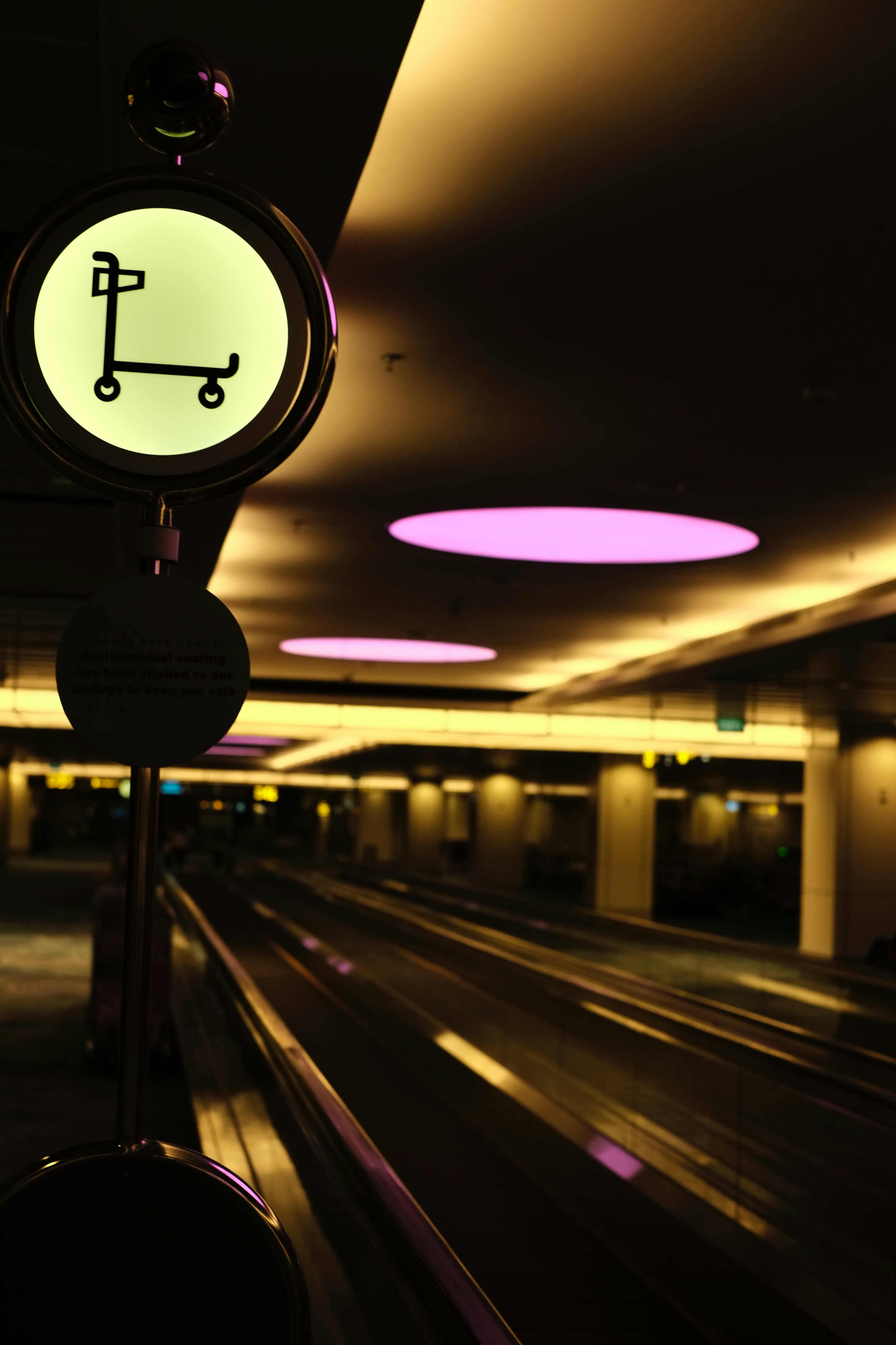 Neon Rings Over Quiet Rails: A Subterranean Moment