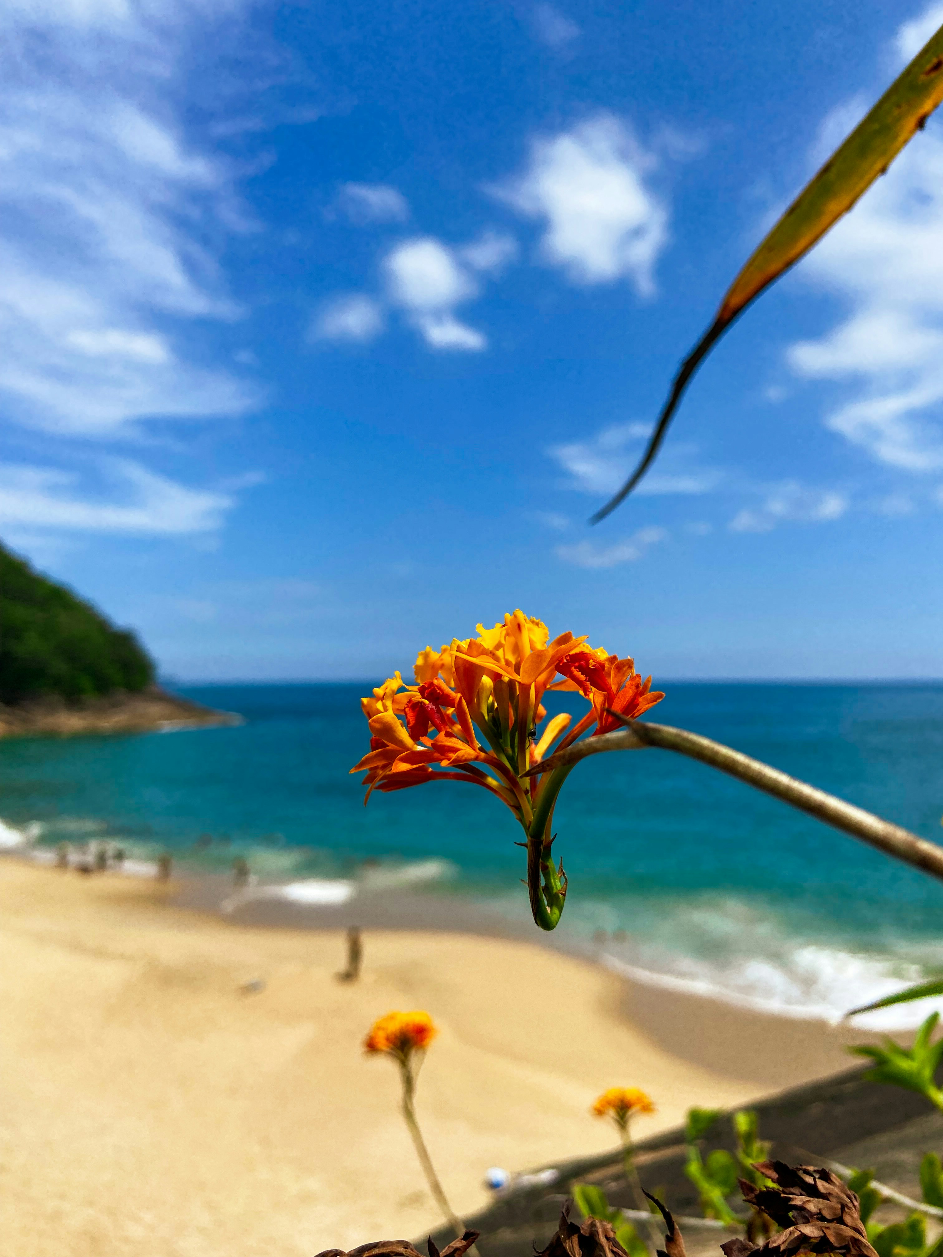 Photo by Diego Mandu with Apple iPhone 11