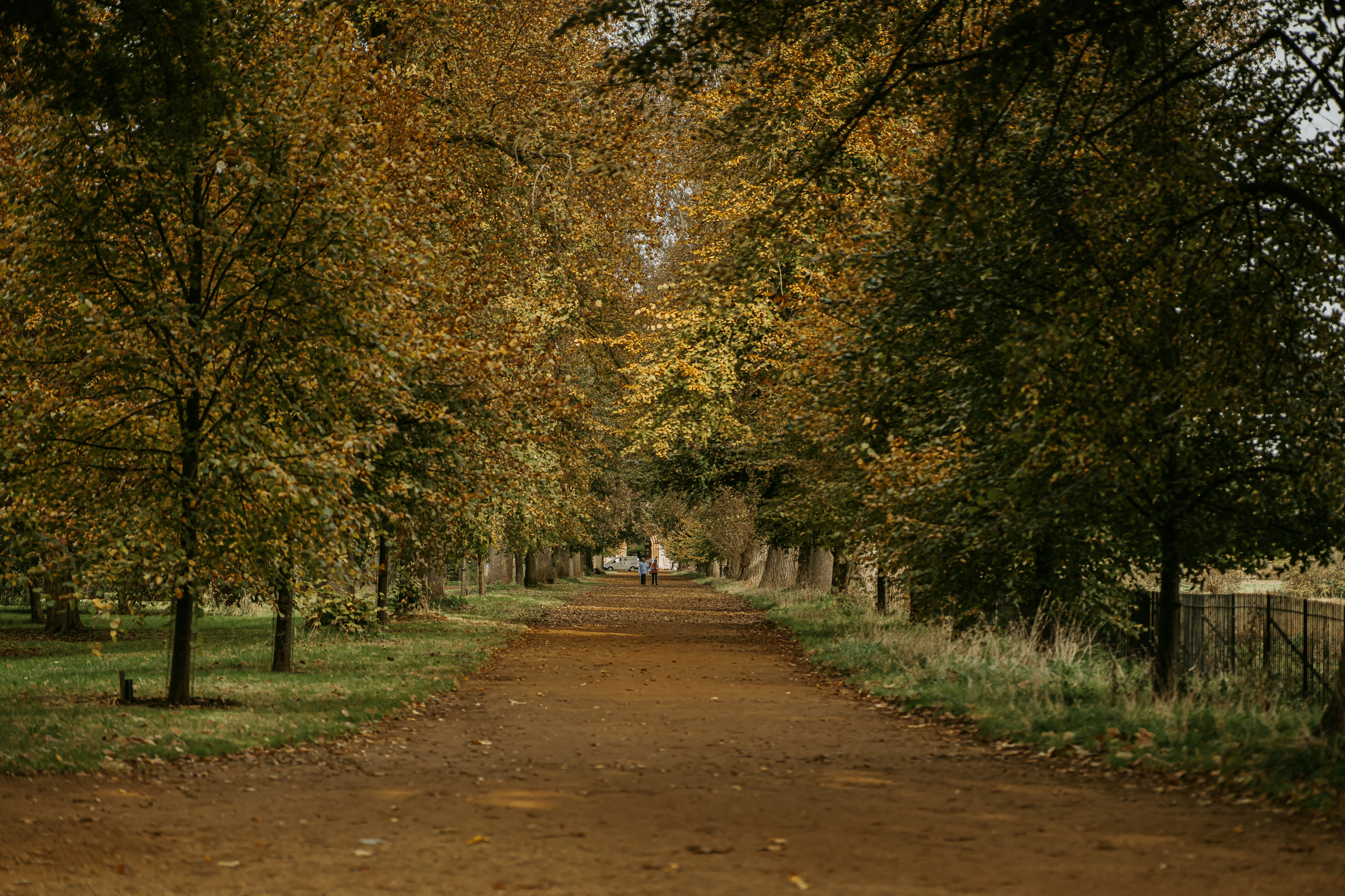 A tranquil pathway lined with vibrant autumn trees, leading into the distance, inviting exploration. Soft sunlight filters through the leaves, creating a warm atmosphere.