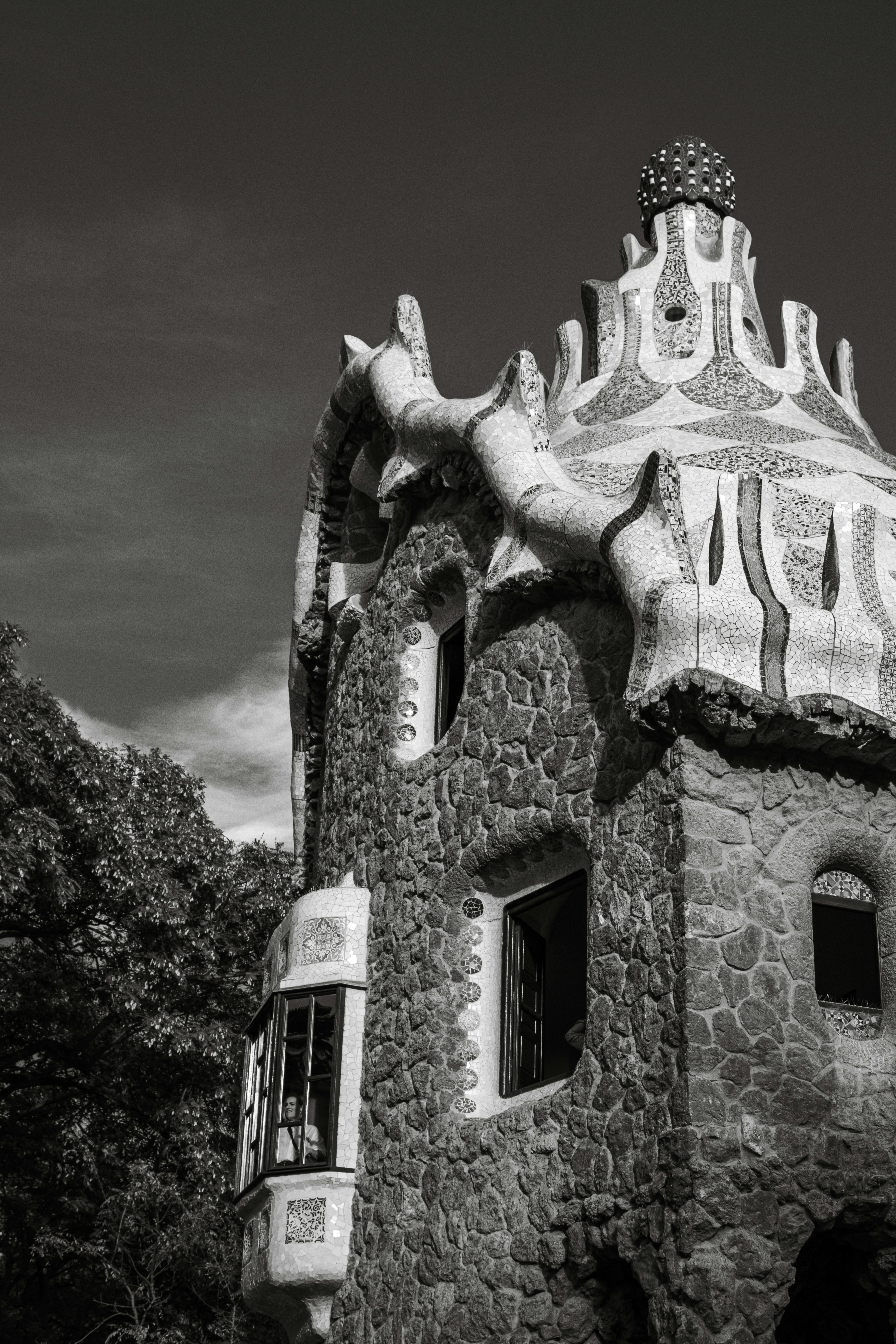 Photo by Isabel  Castro with Canon EOS 250D