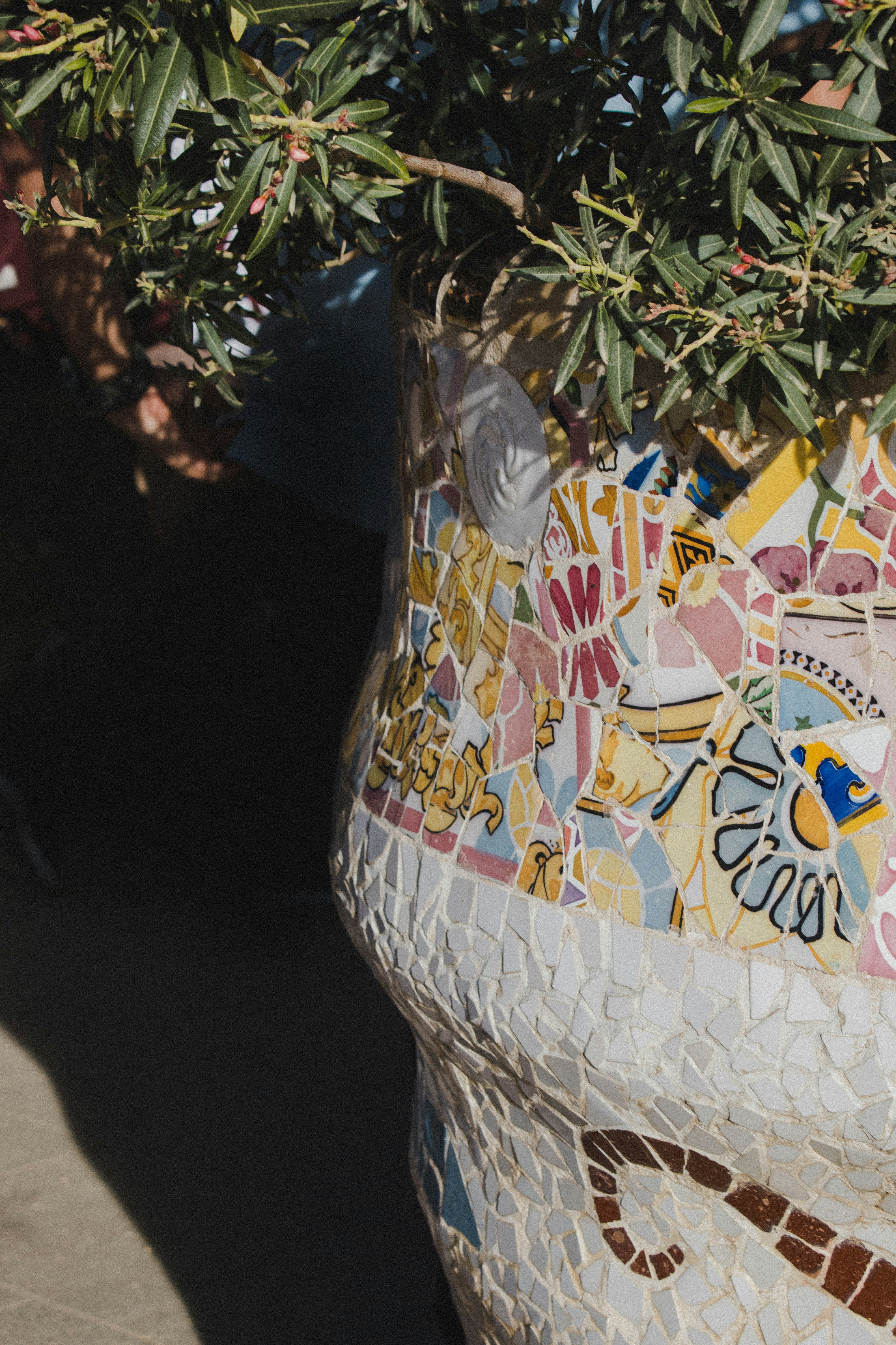 Mosaic Pot Terracotta: Colorful Plant Container Highlight