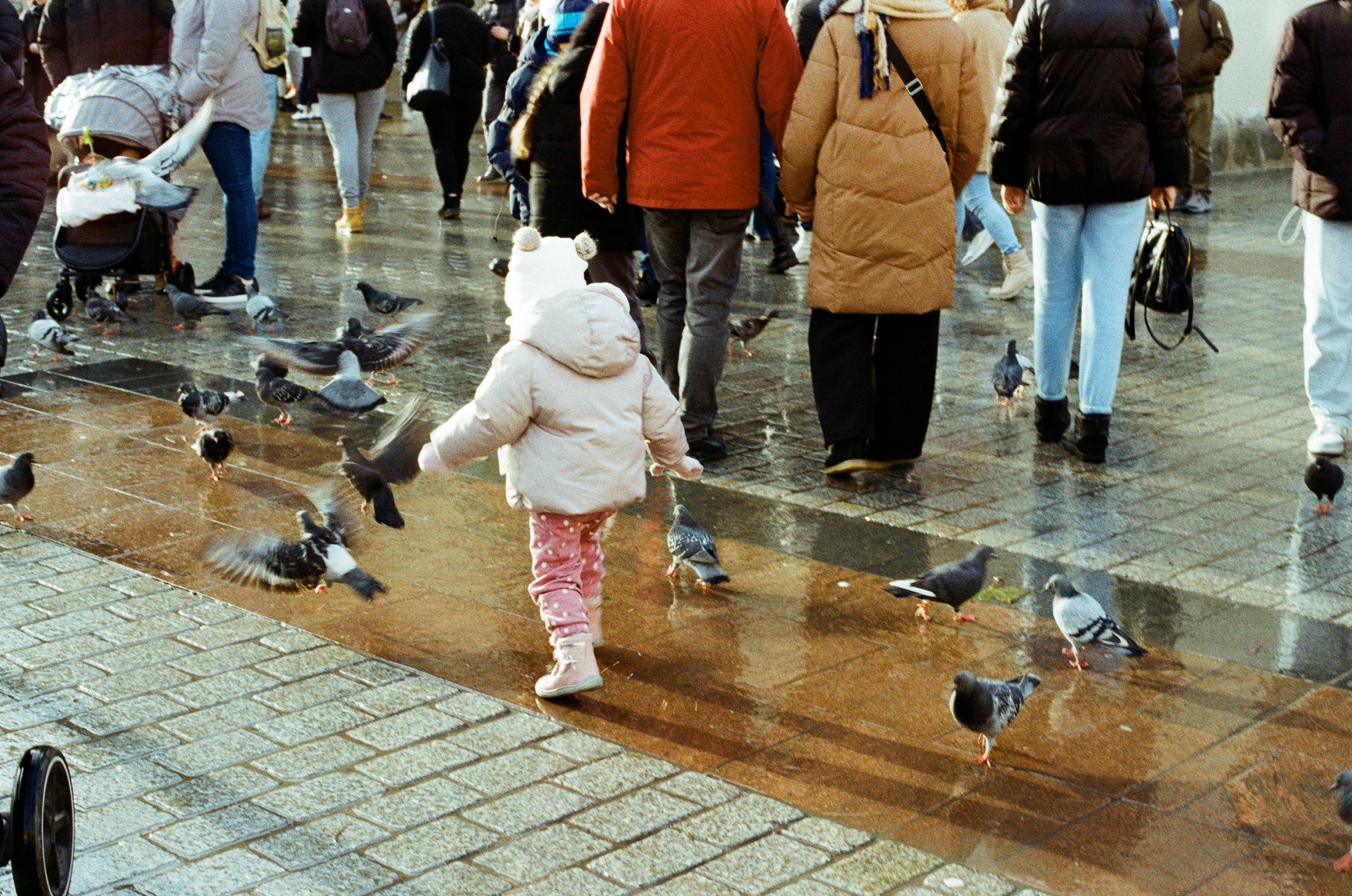 A little girl in a white jacket and some pigeons photo – Free Film ...