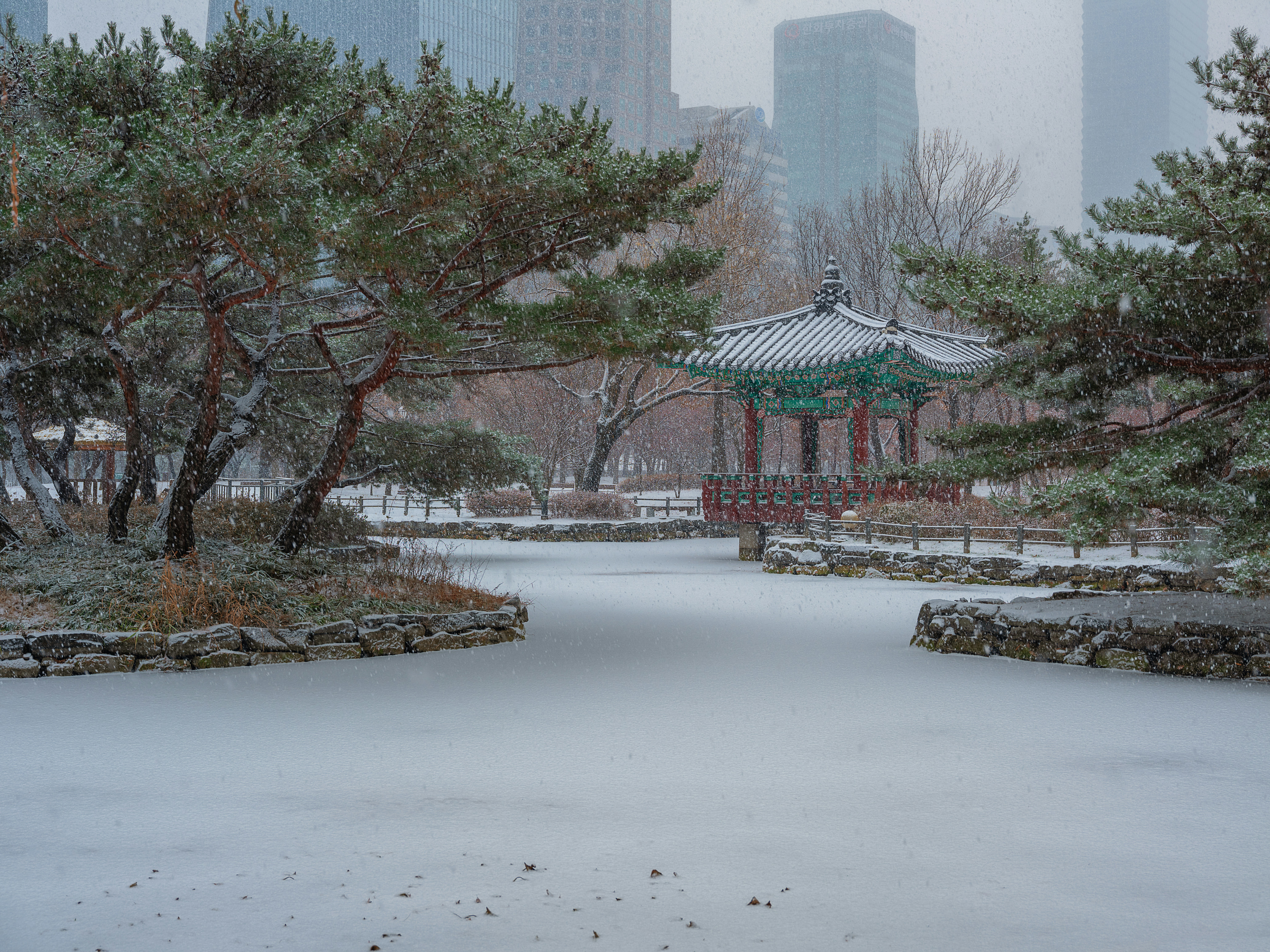 Snow-Laced Pavilion in a Quiet Urban Park