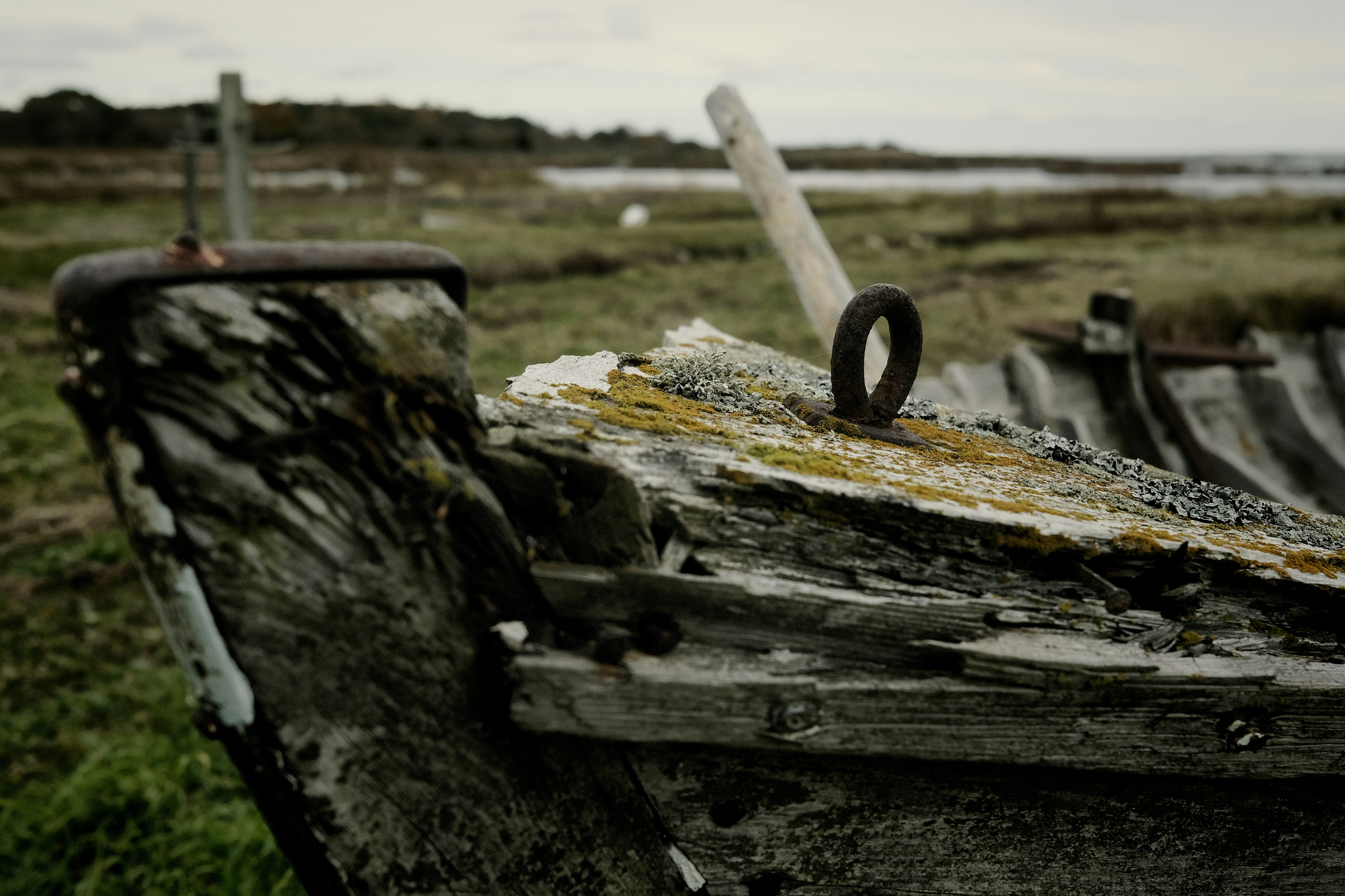 Weathered Vessel: Moss-Capped Timber and a Rusted Ring in the Marsh