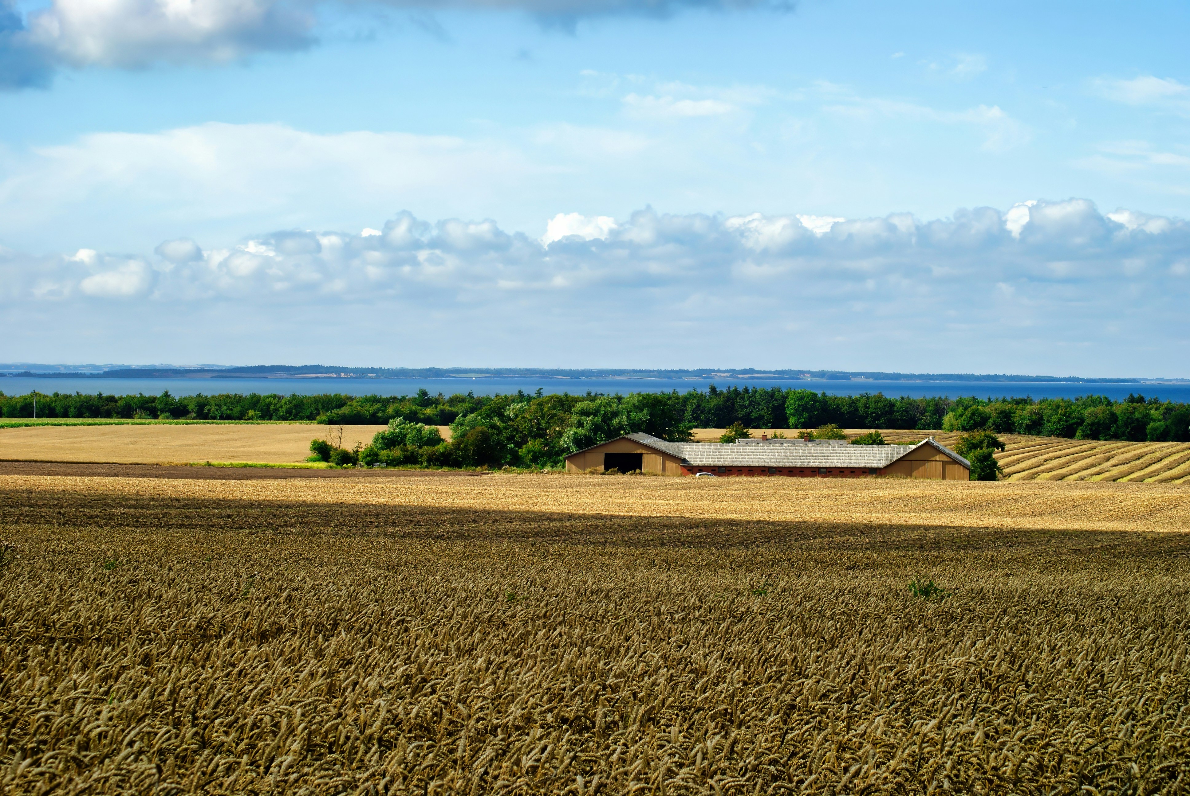 A large field with a barn in the middle of it photo – Free Denmark ...