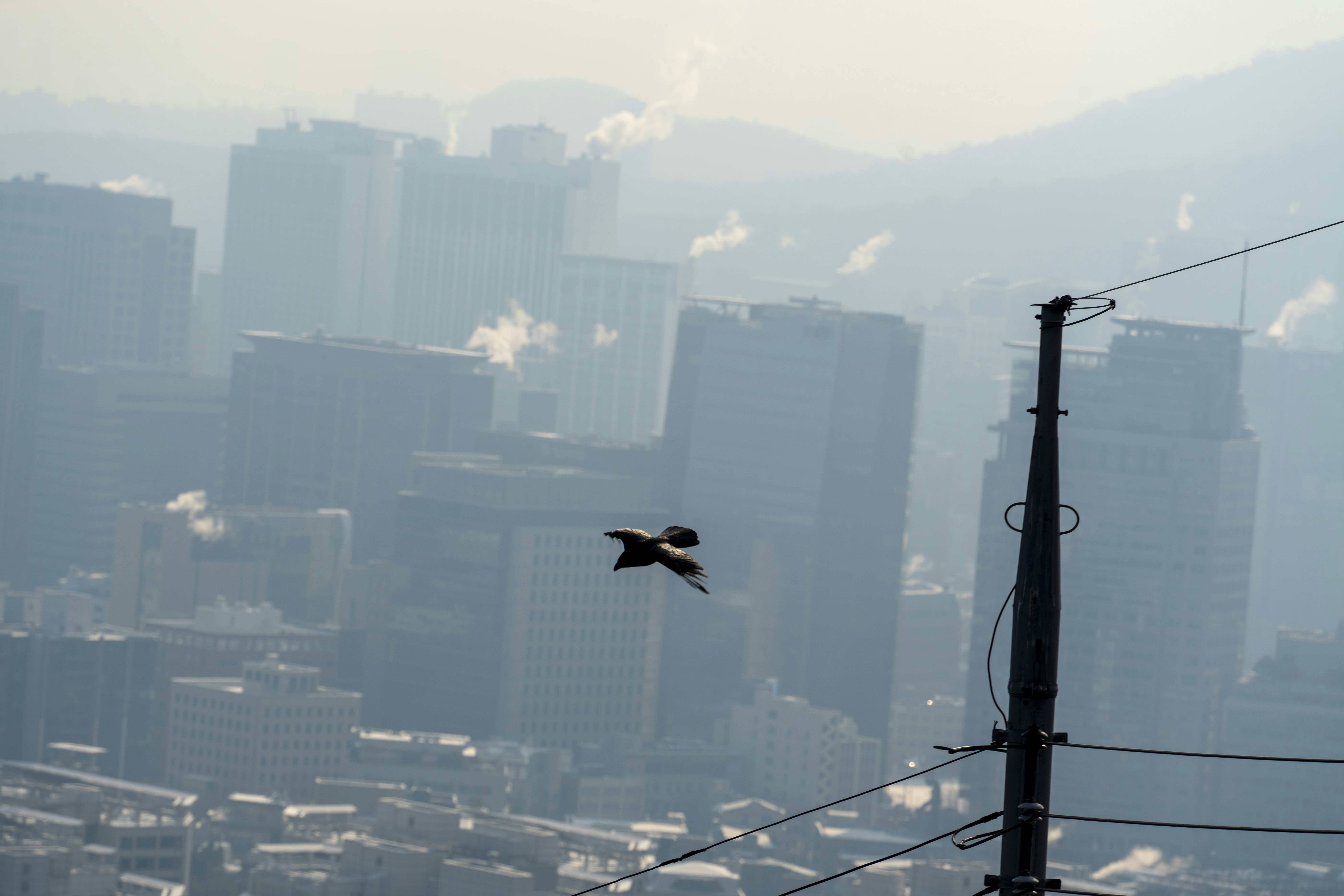 Photo by Hoyoun Lee with Sony Alpha 7R III