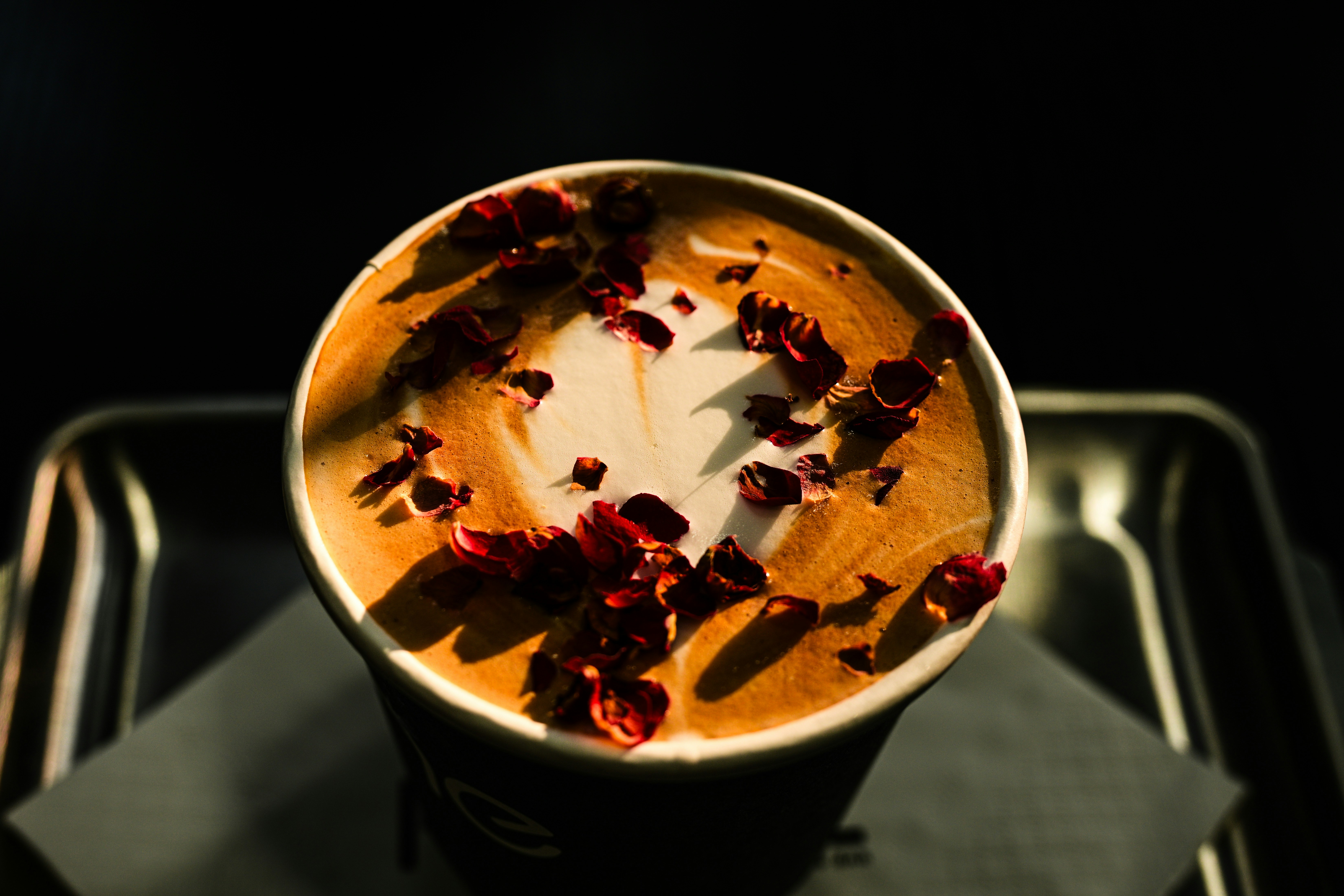 Photo by Victoria Wang with Nikon Z8