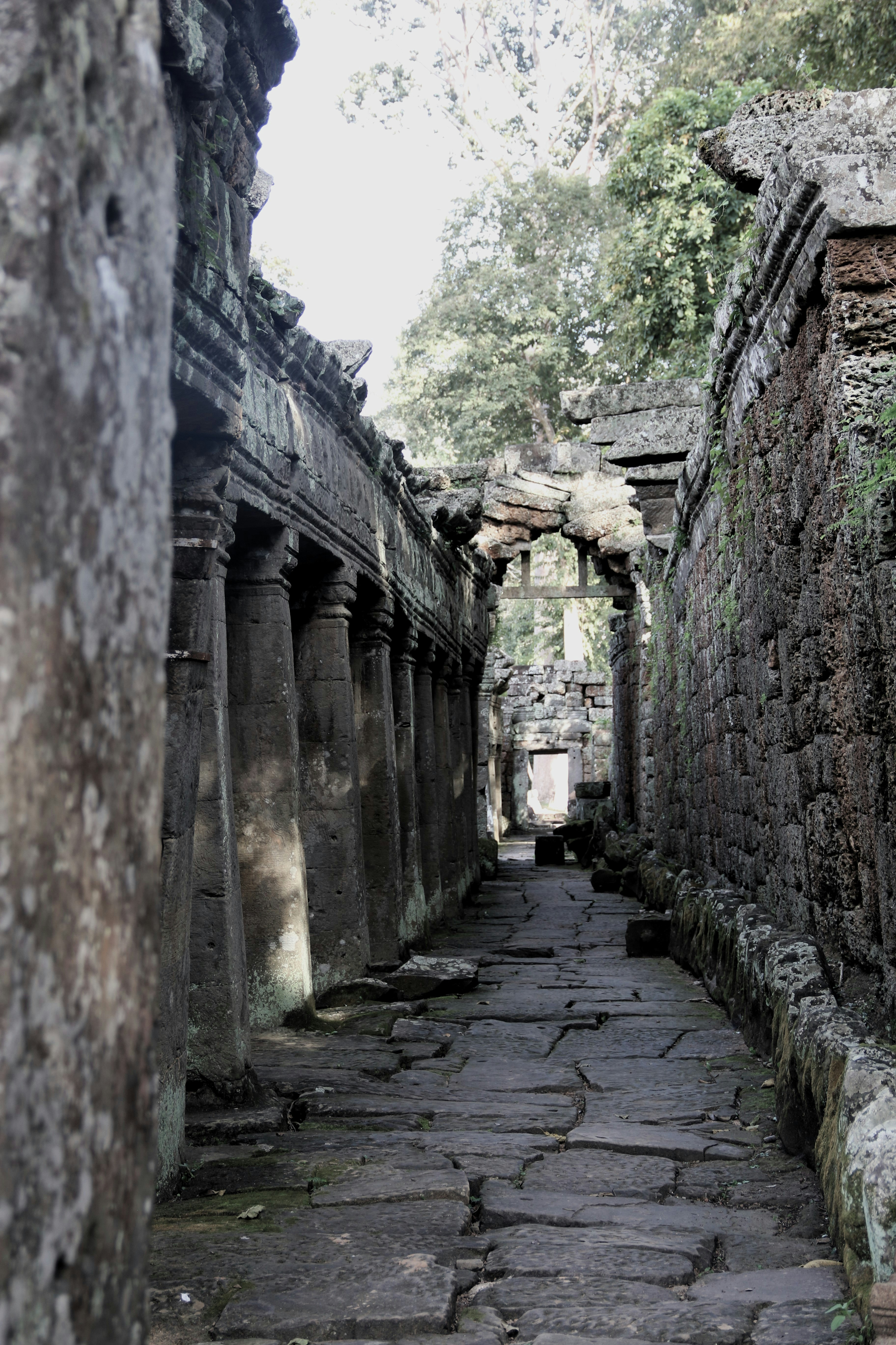 Photo by Pramod Kumar Sharma with Canon EOS 70D