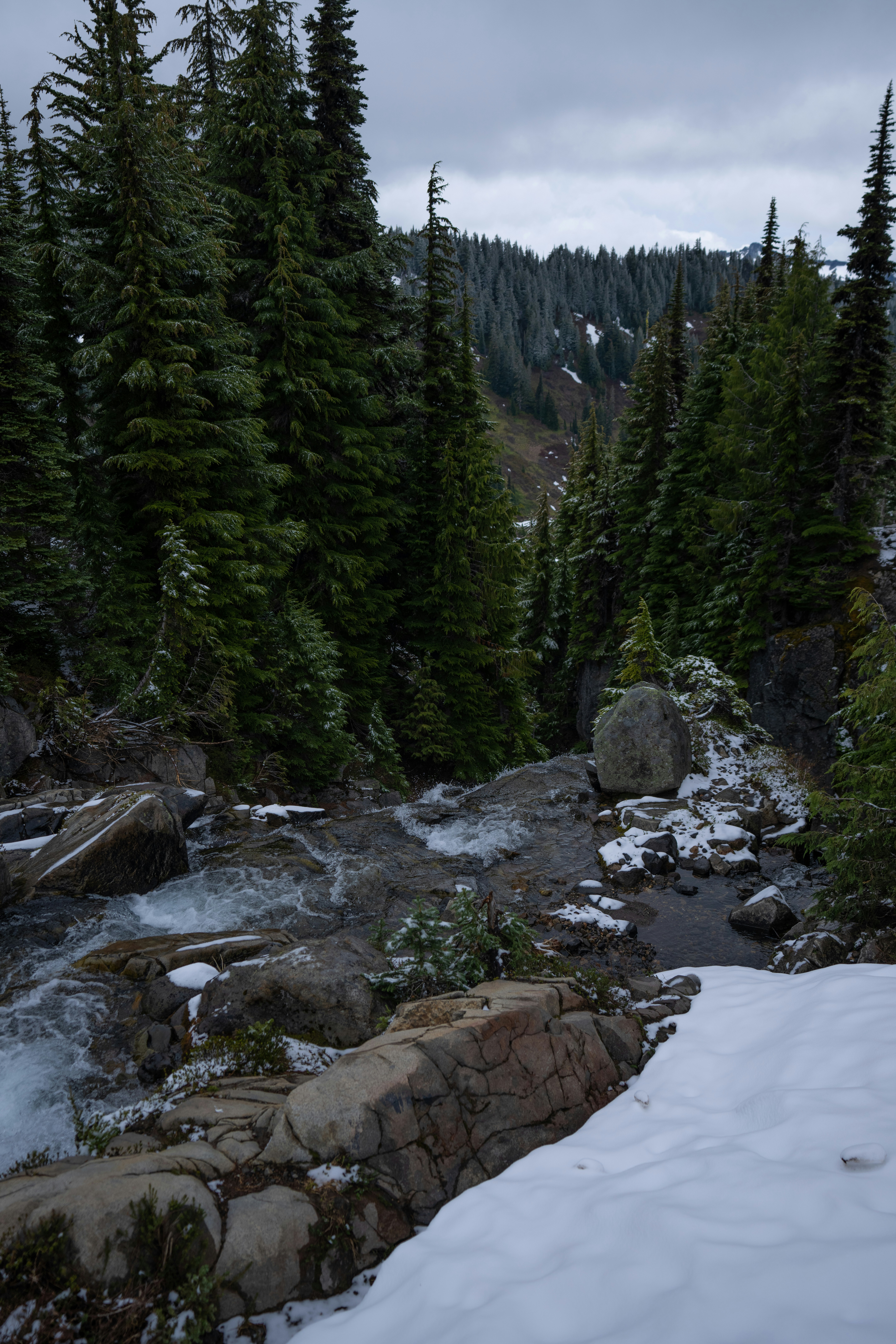 Snow-kissed Stream Through a Conifer Corridor