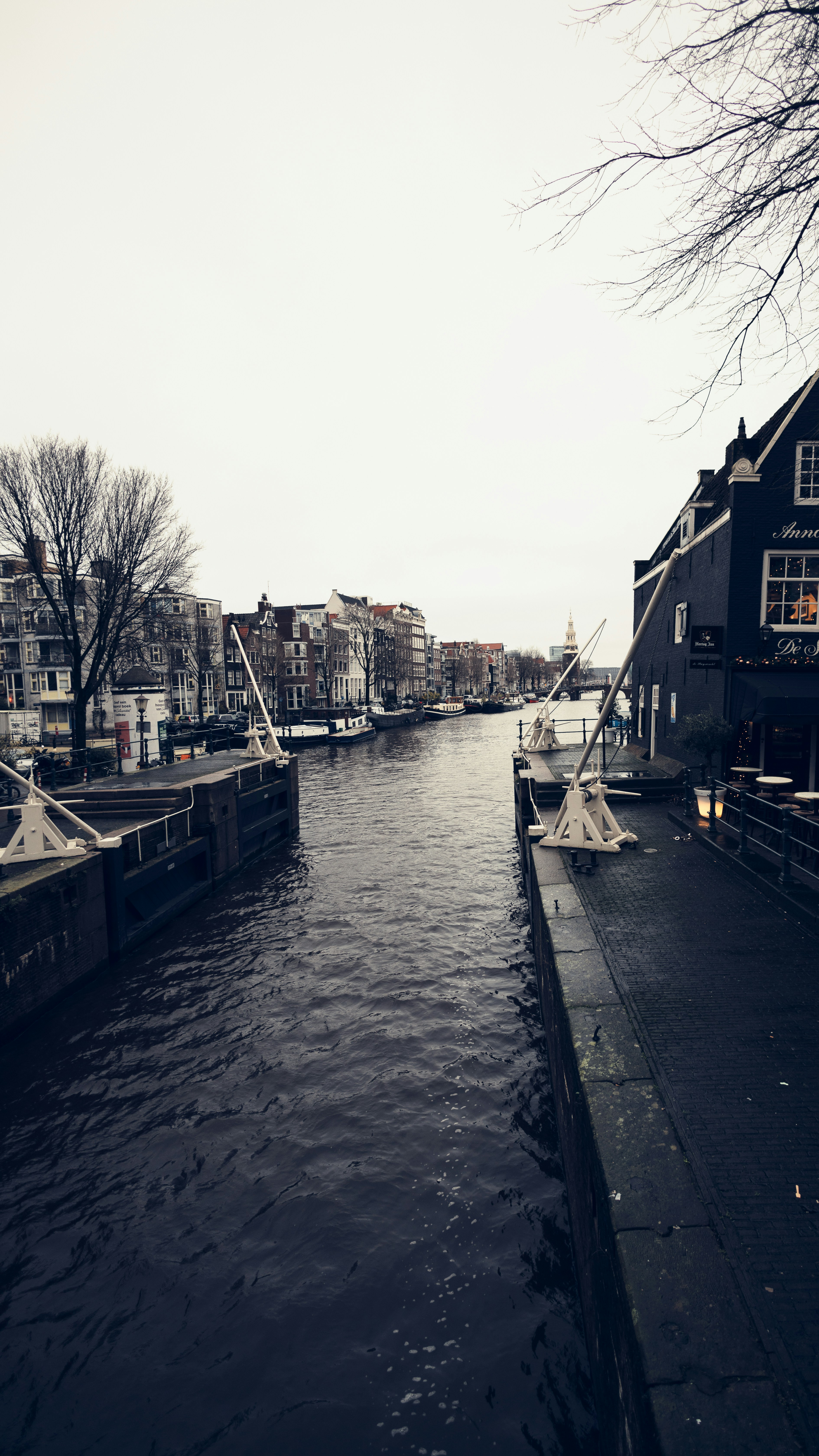 This photograph offers a view along a canal in a Dutch city, characterized by narrow buildings with gabled facades typical of the local architecture. The overcast sky and the absence of foliage on the trees suggest it is taken during the colder months. The serene water of the canal reflects the grey tones of the winter sky.