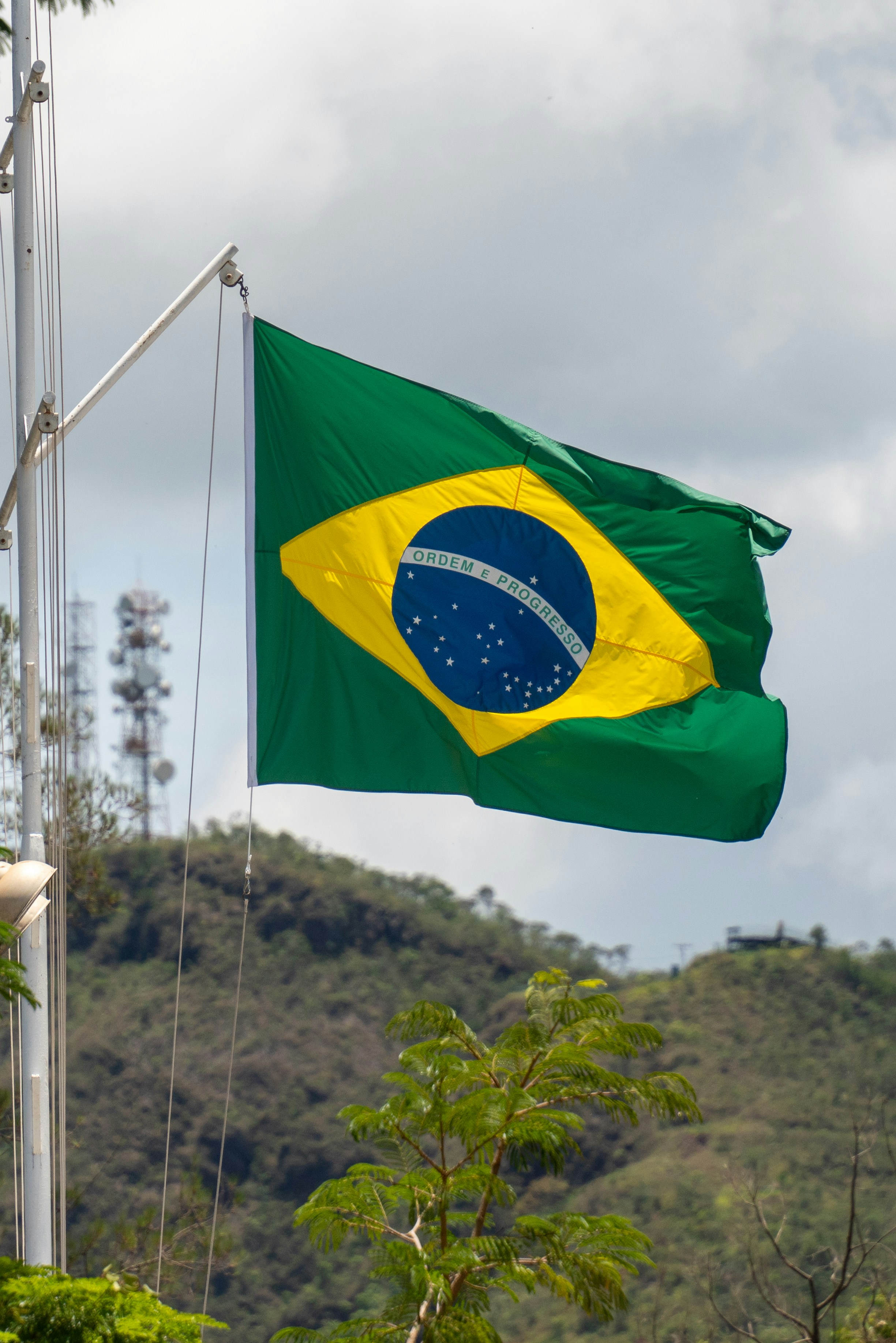 A green and yellow flag flying in the wind photo – Free Flag Image on ...