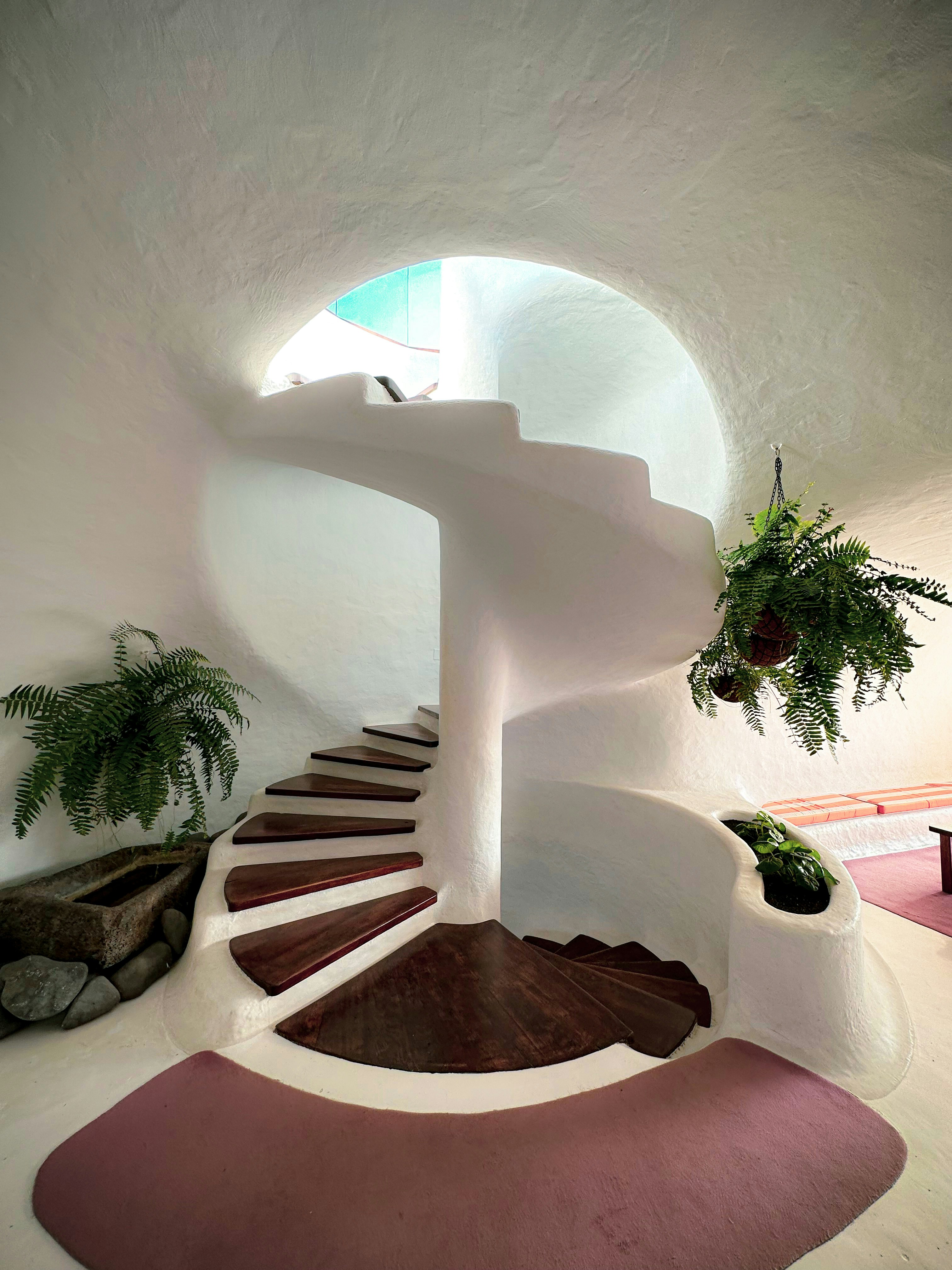 Spiral Echo in White: A Sunlit Atrium with Ferns