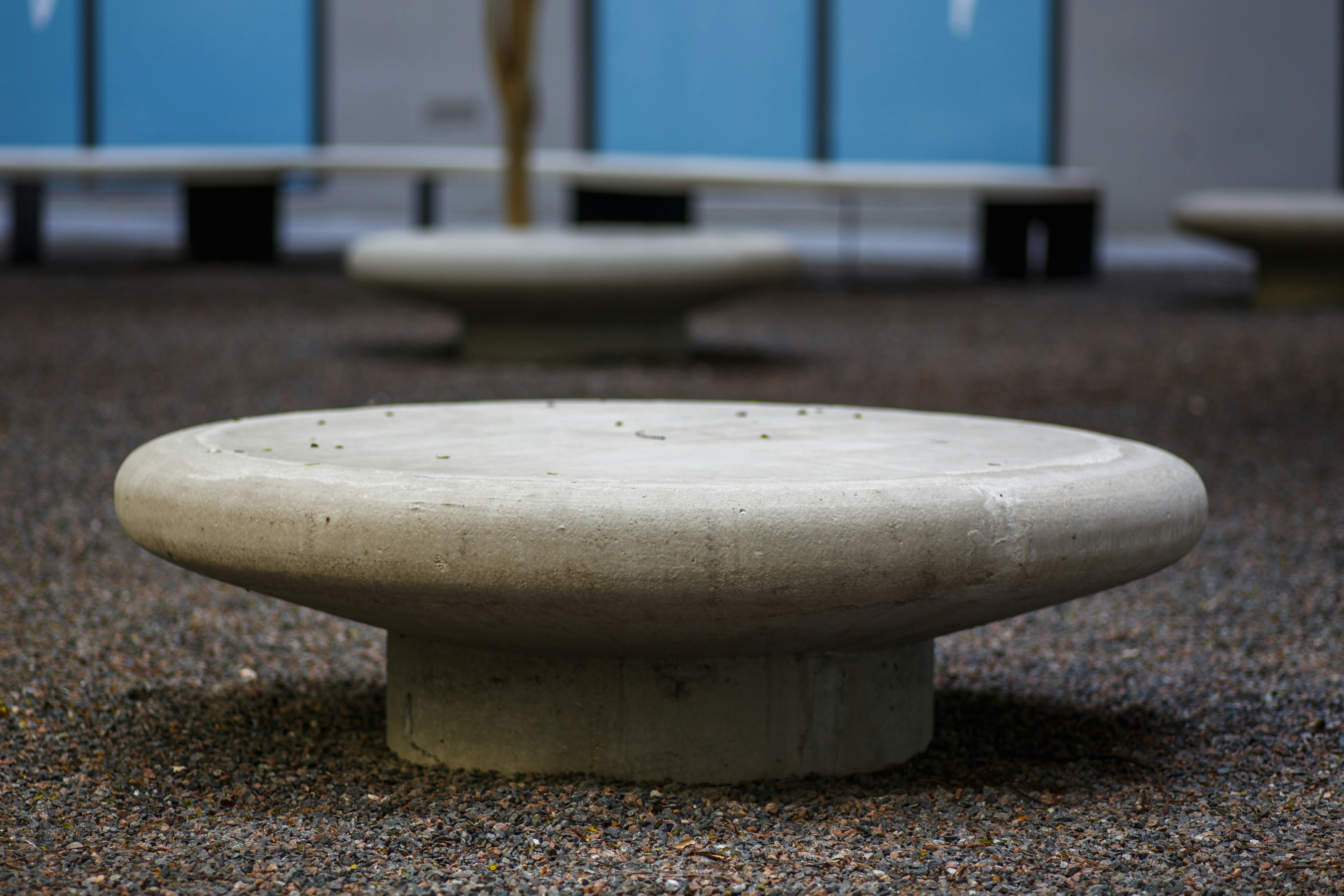 Anchor of Gravity: The Circular Concrete Bench in a Quiet Courtyard