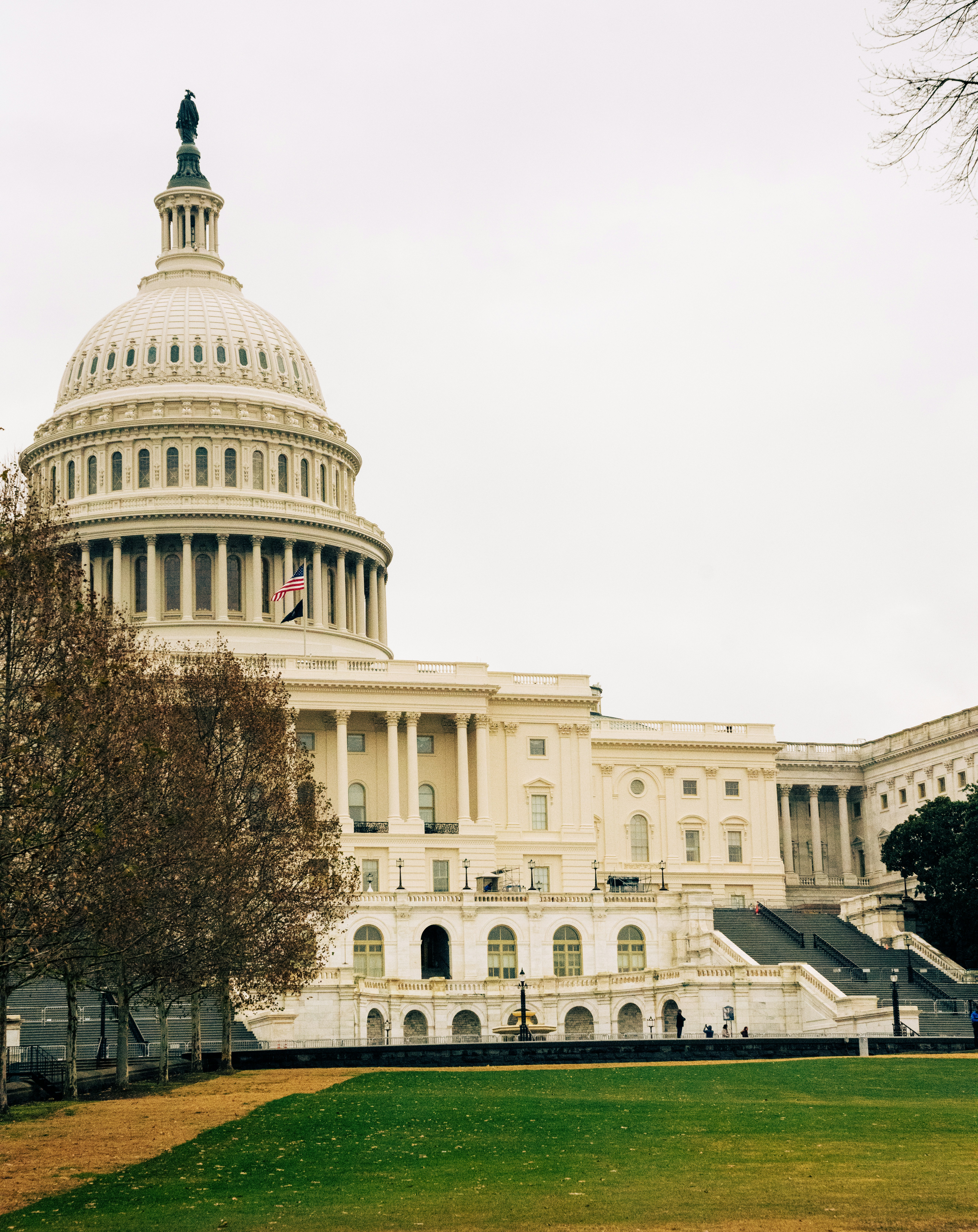 U.S. Capitol building framed by bare trees and a manicured lawn, showcasing its iconic dome and neoclassical design.