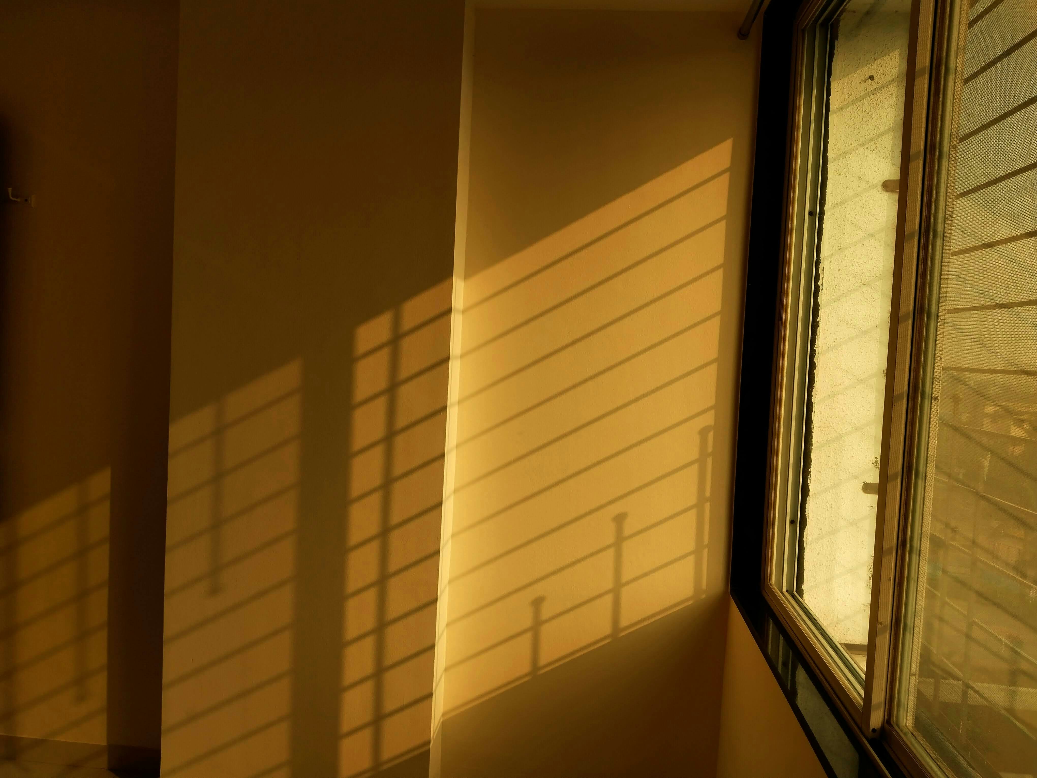The shadow of a window on a wall photo – Free Windowsill Image on Unsplash