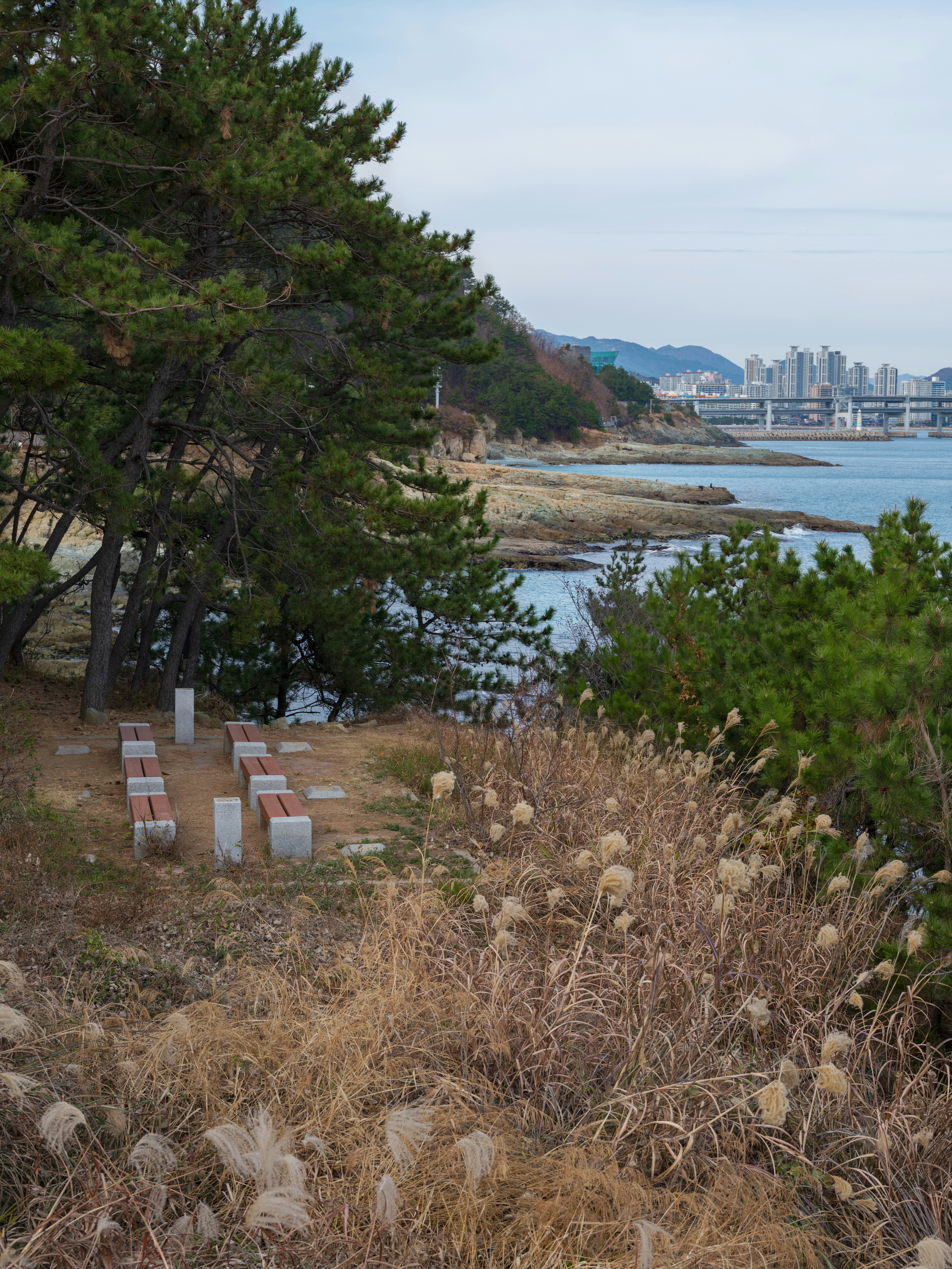 A resting area along the coast in Igidae Park in Busan, South Korea