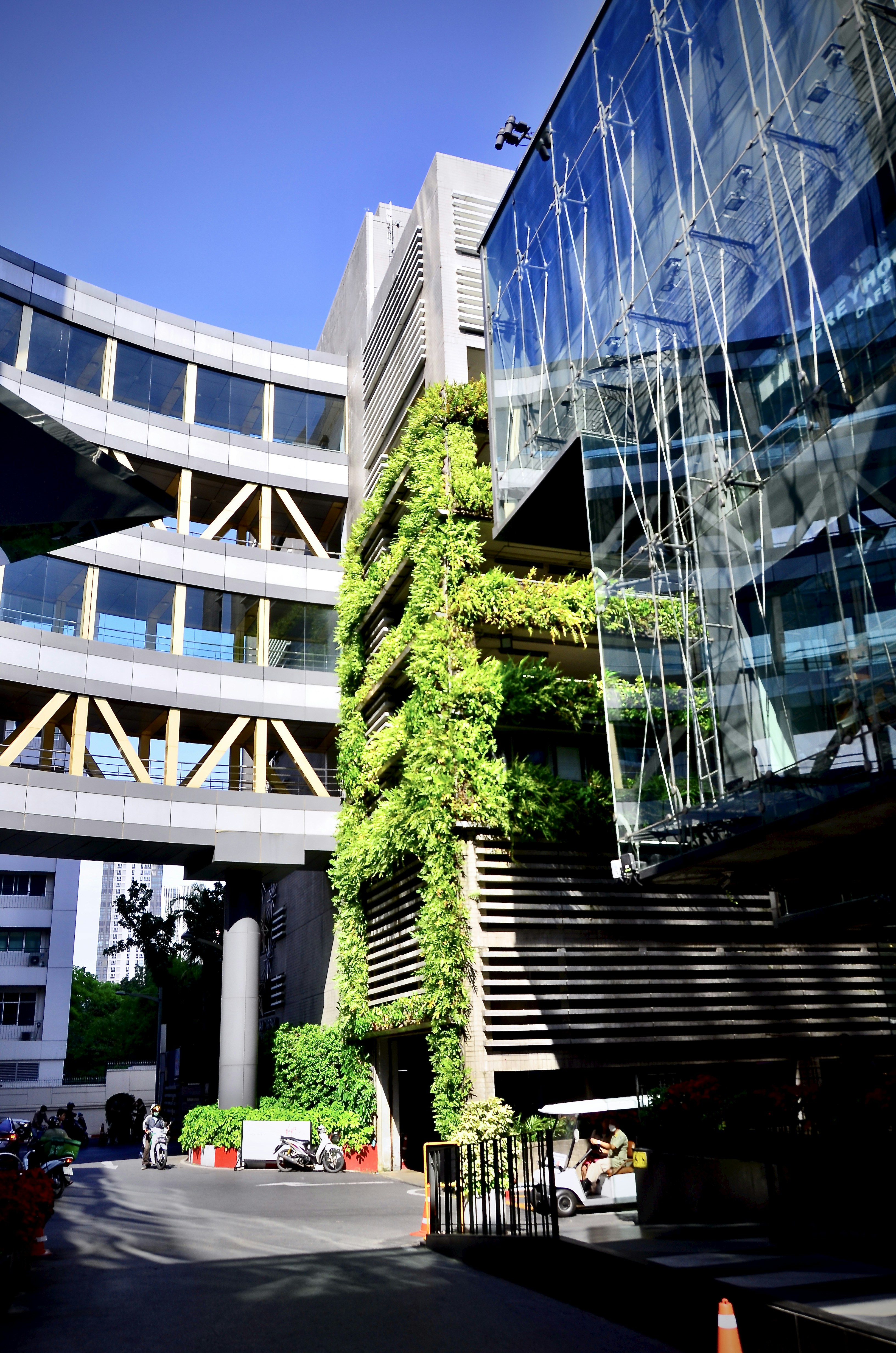 Verdant Glass: Vertical Garden Climbing an Urban Atrium