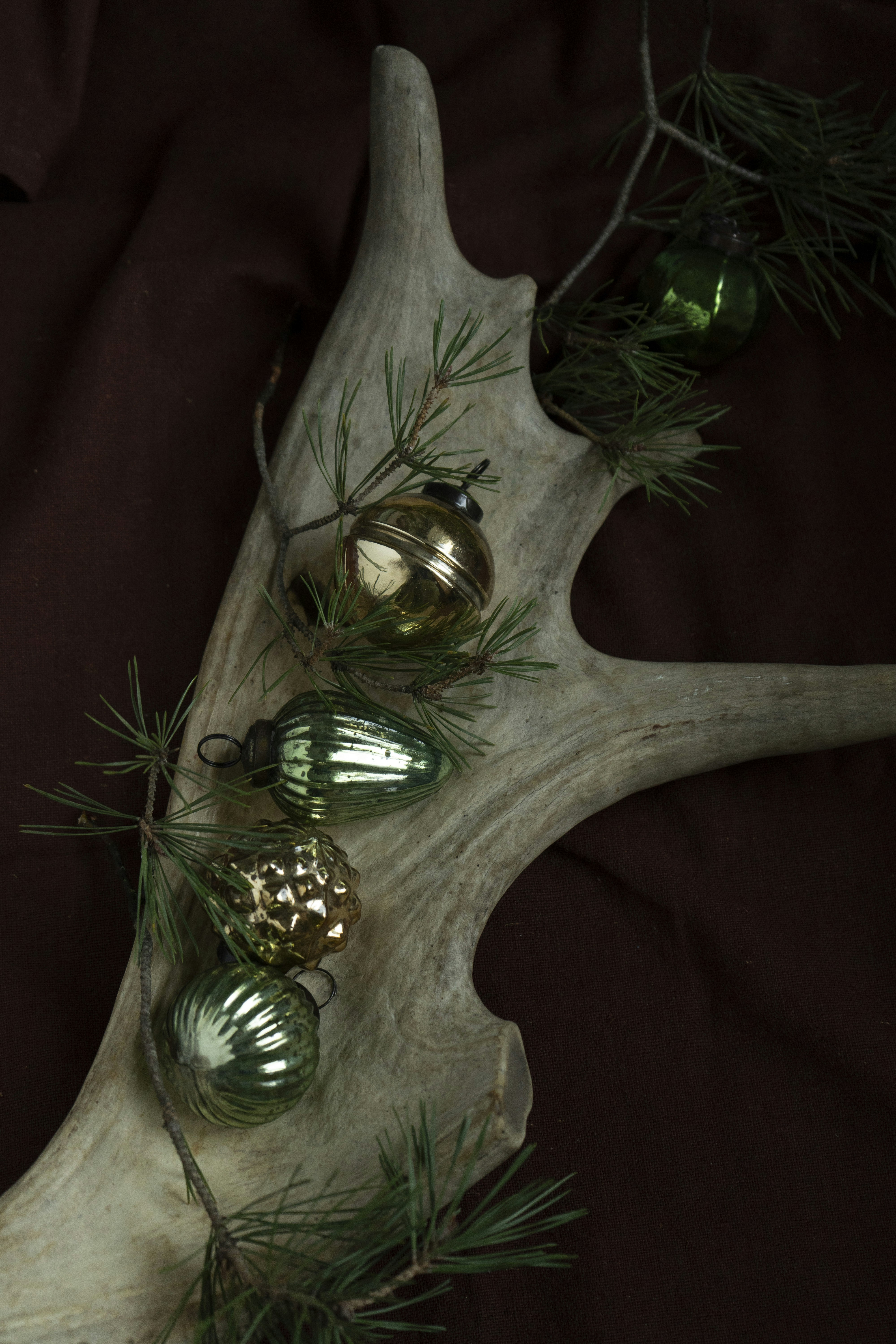 Emerald and Gold Ornaments Drape a Weathered Driftwood Branch