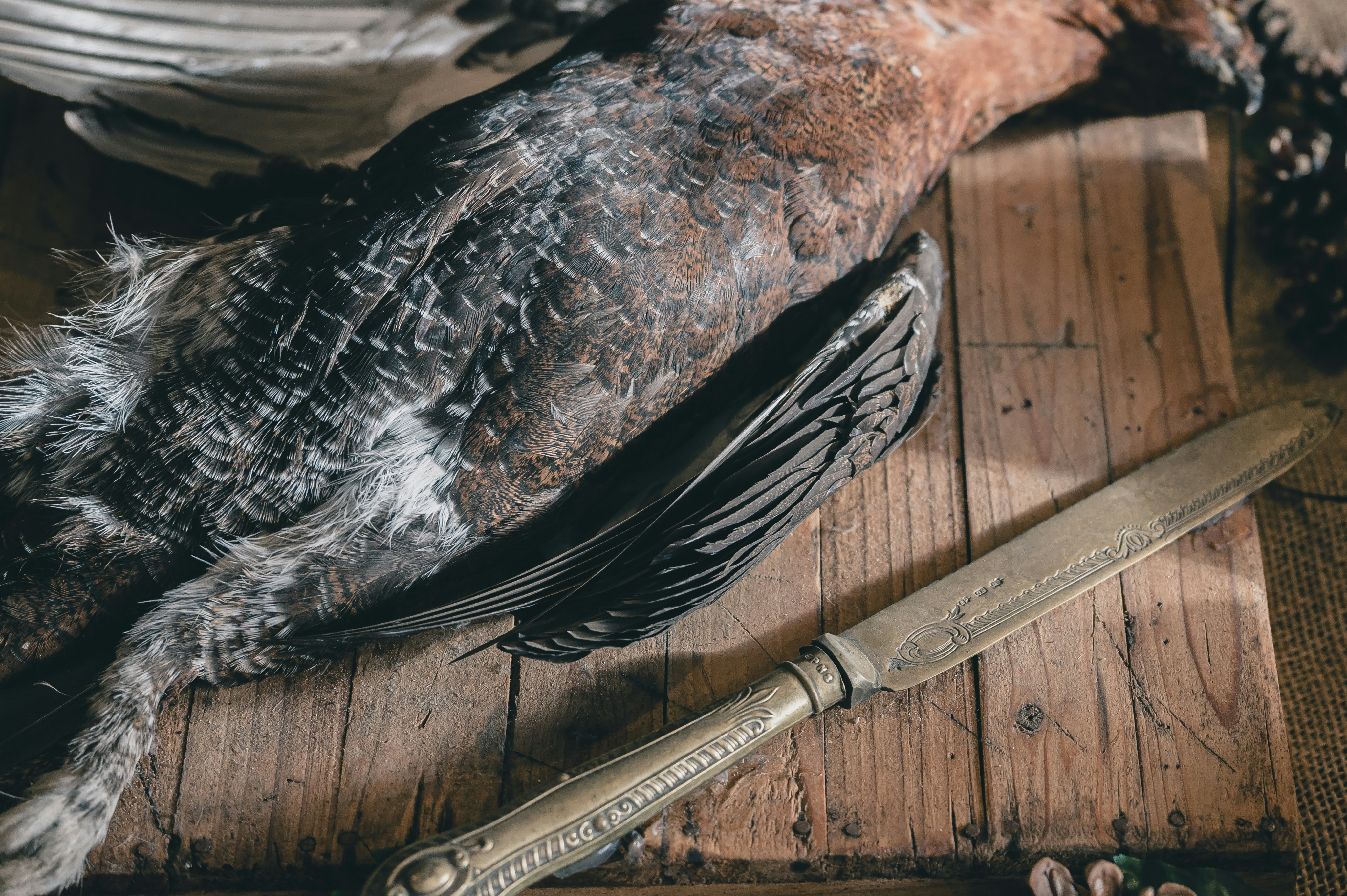 A rustic display featuring a freshly prepared bird alongside an ornate knife on a wooden surface, highlighting the connection between nature and culinary artistry.
