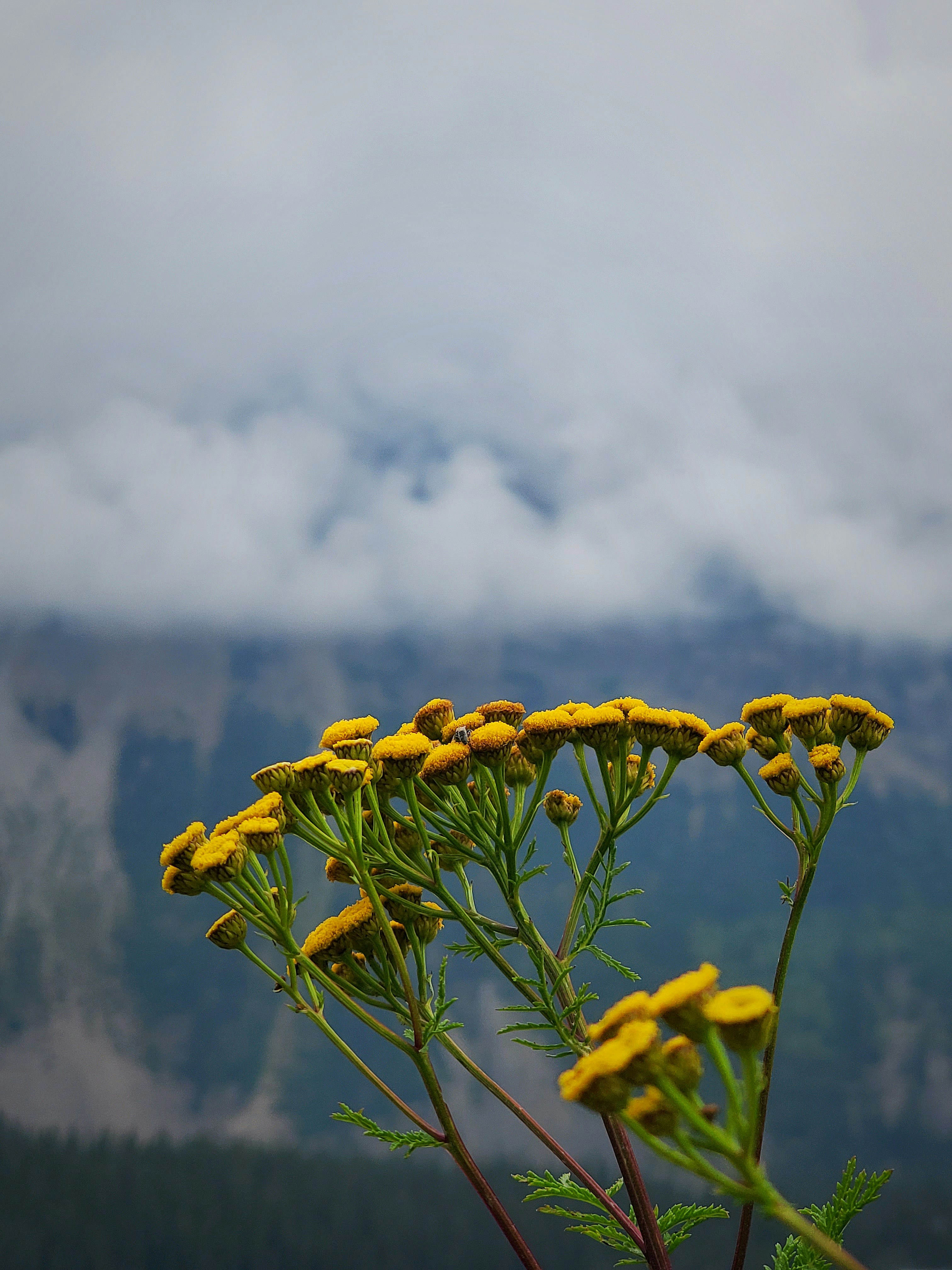 Photo by Ellaina Horton with Samsung Galaxy Note10 Plus