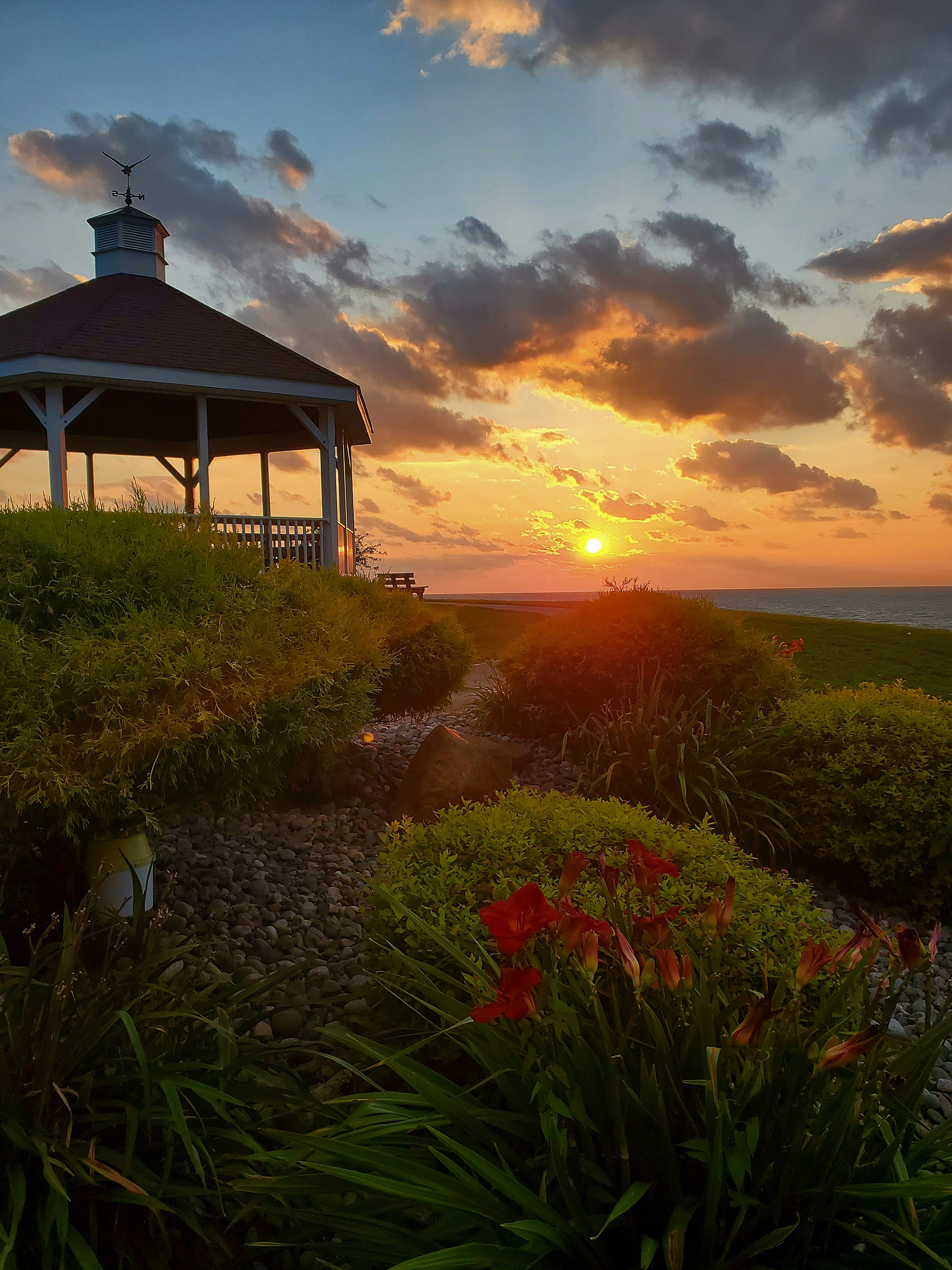 a gazebo sitting on top of a lush green field