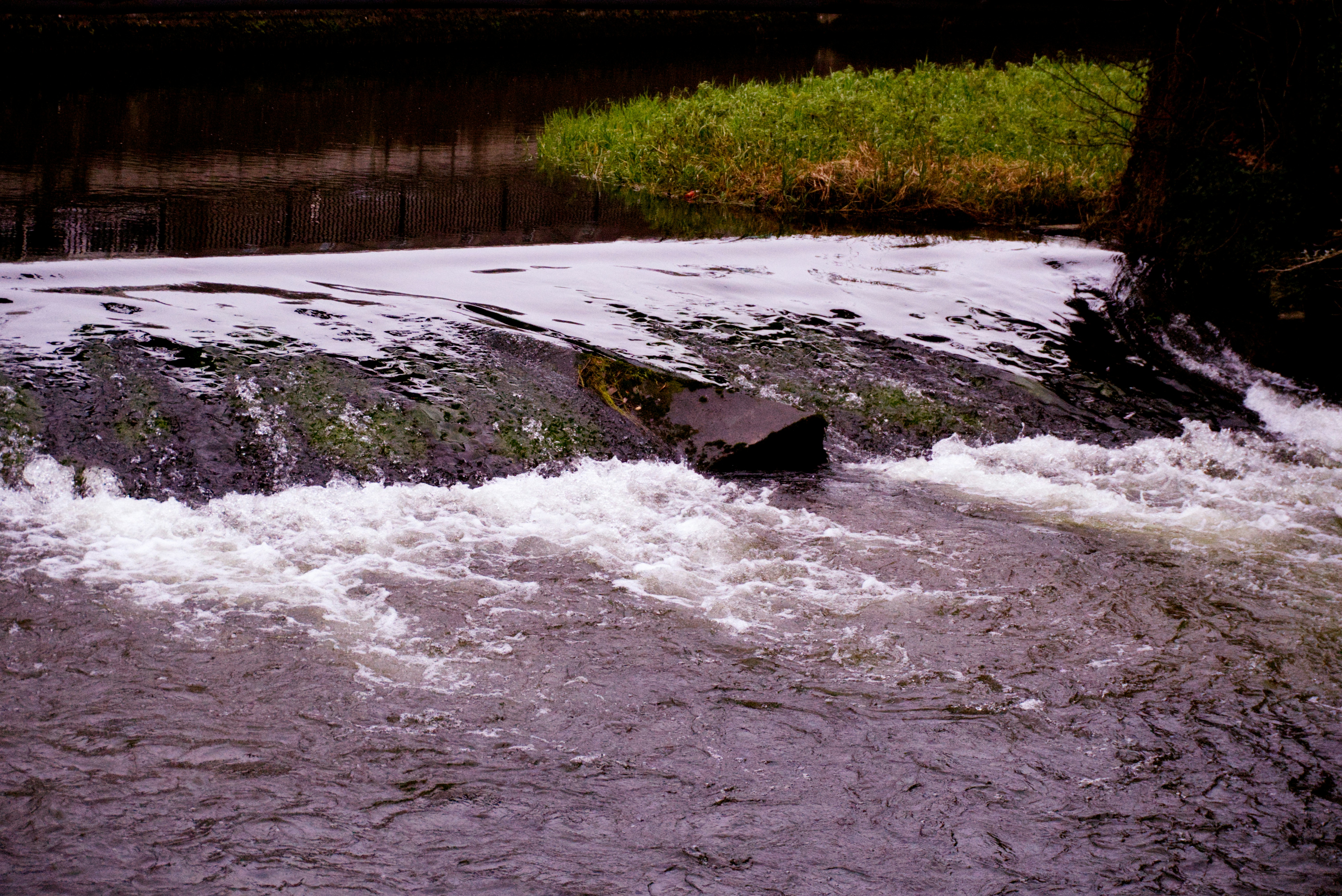 Rock Amid Whitewater: A Quiet Anchor by the Spillway