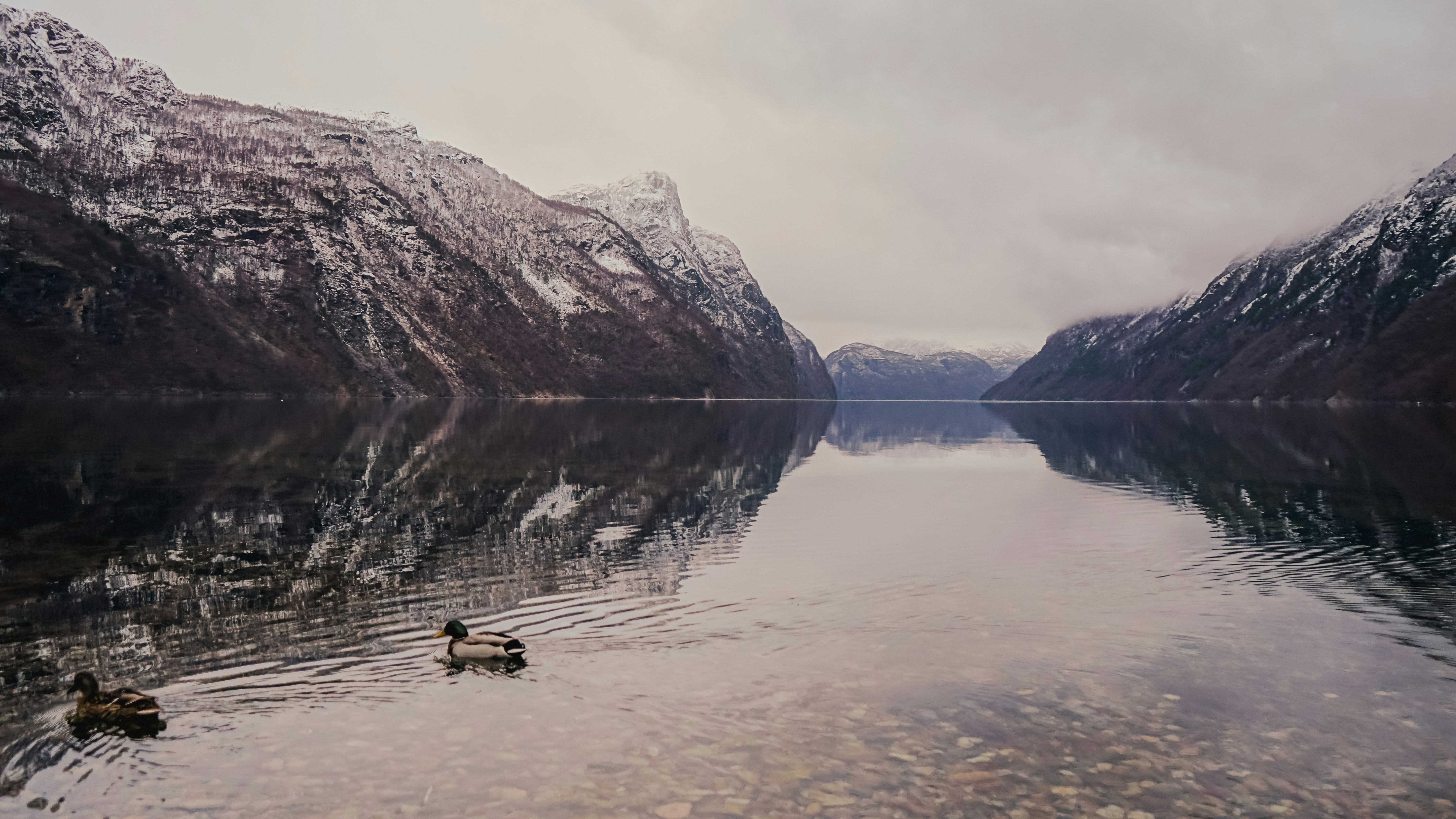 Echoes of the Fjord: Calm Waters Reflect Snowy Peaks