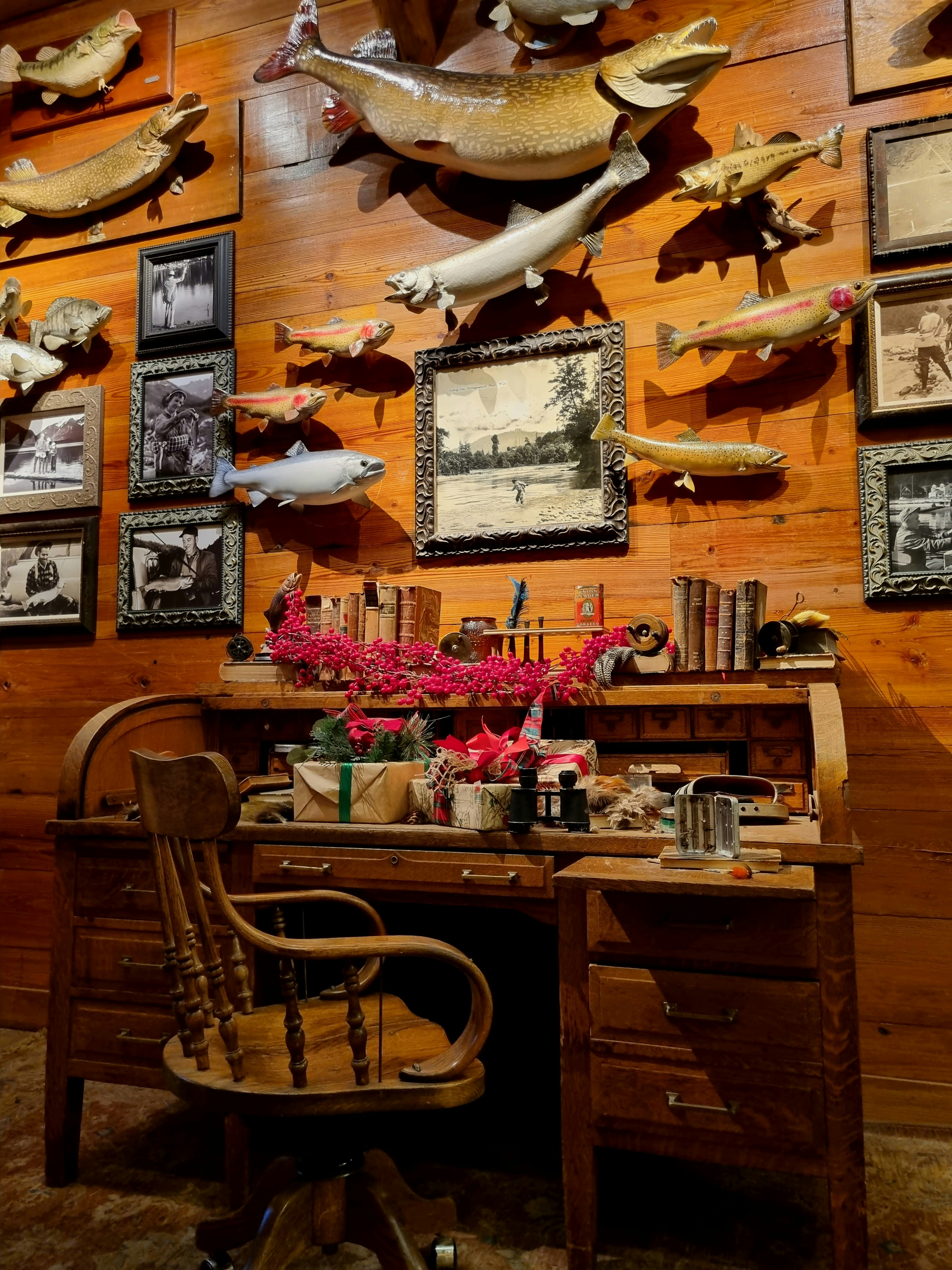 Wall of Trout and Time: A Rustic Desk Beneath Taxidermy and Photos