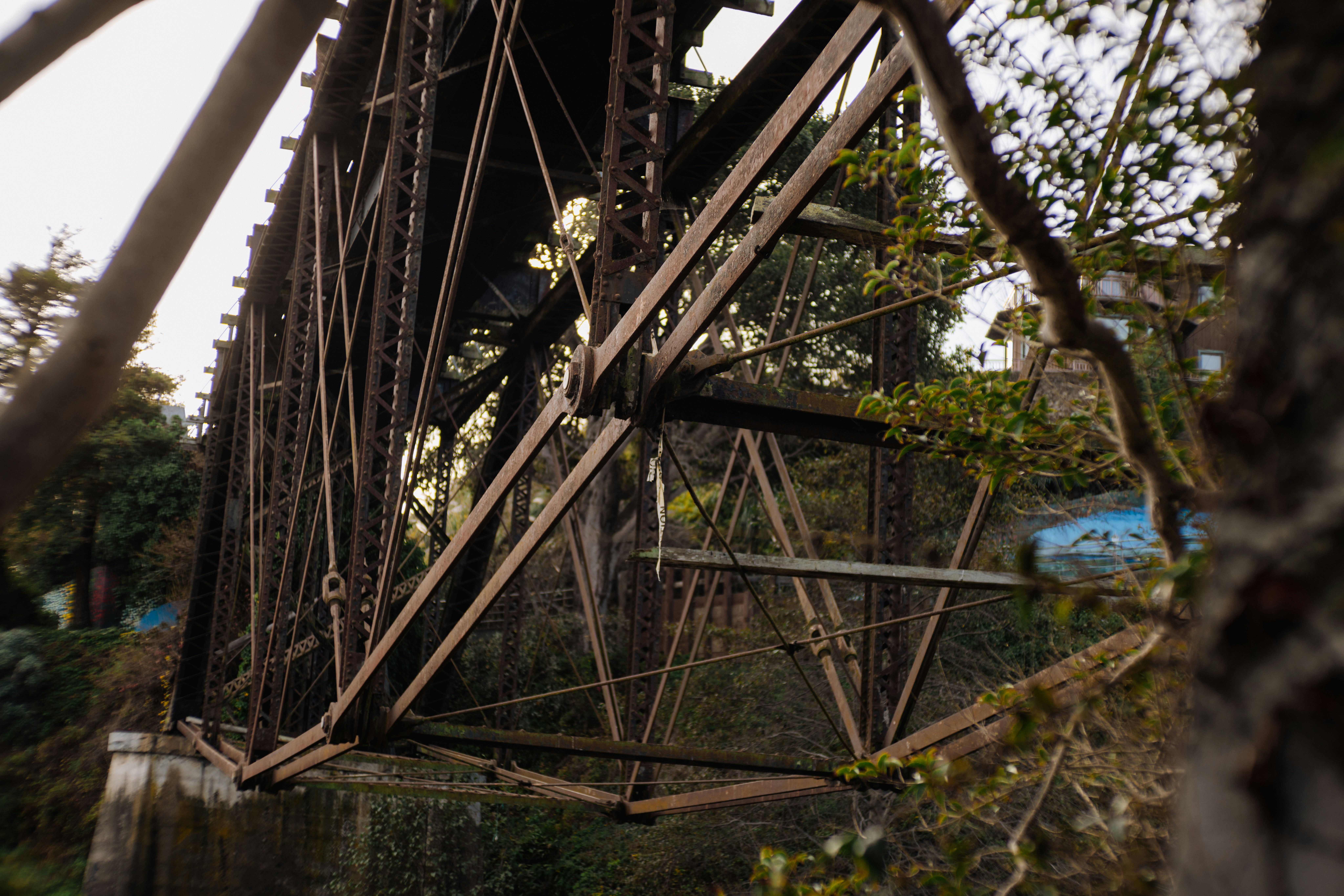 Geometric Lattice Over Quiet Water: Rusted Bridge Portrait