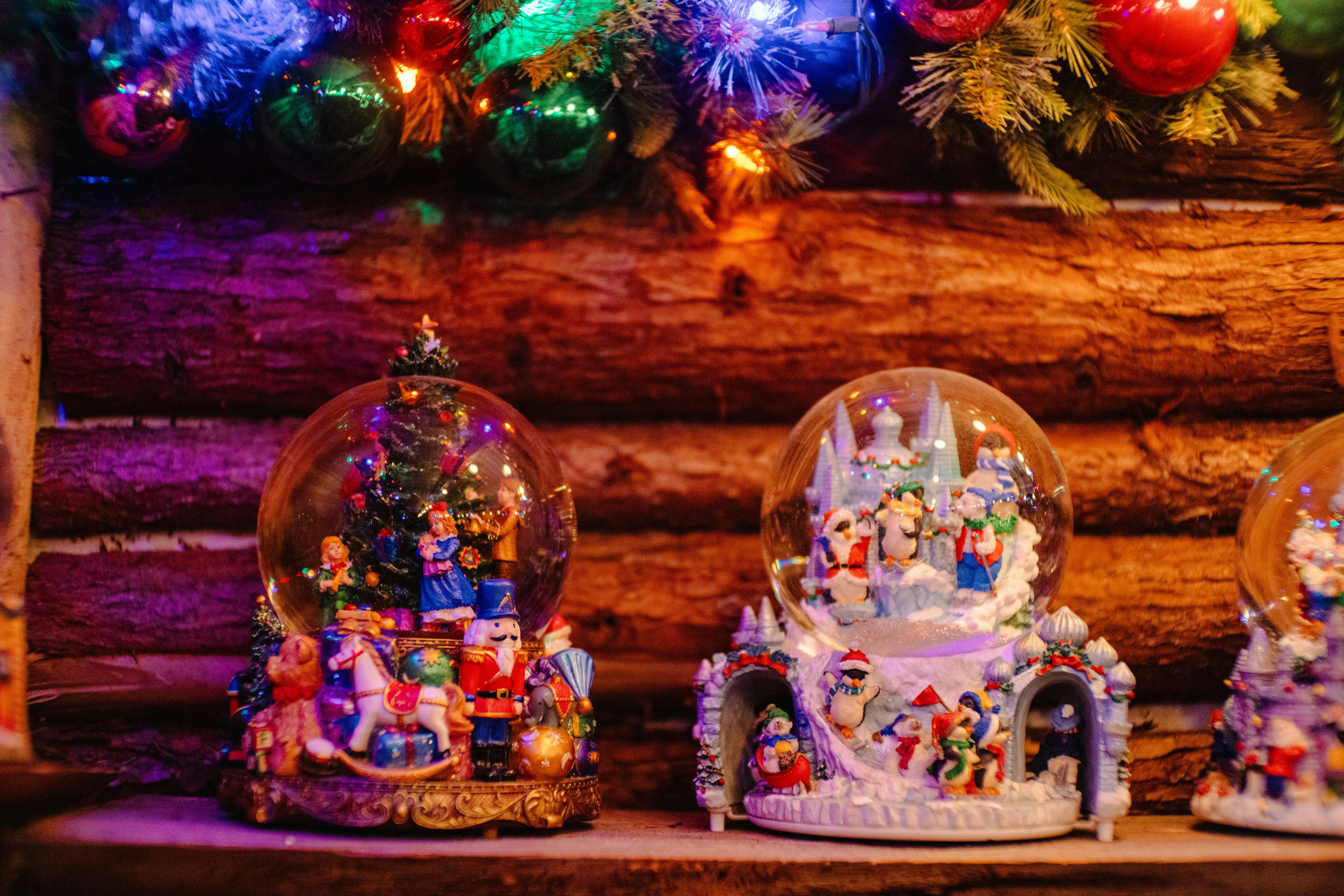 Photo by Jason Leung with Canon EOS R5