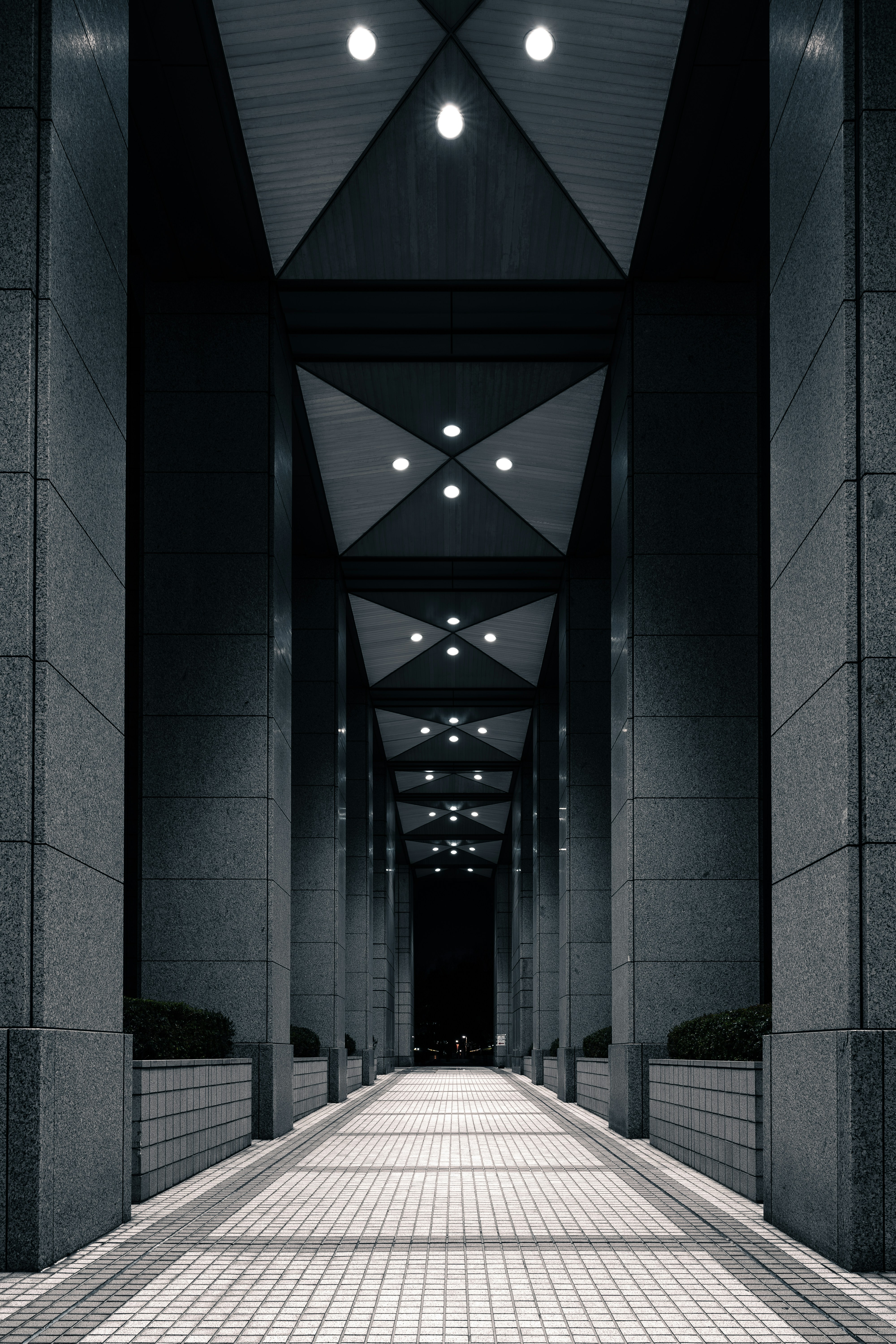 Photo by mos design with Sony Alpha 7 III