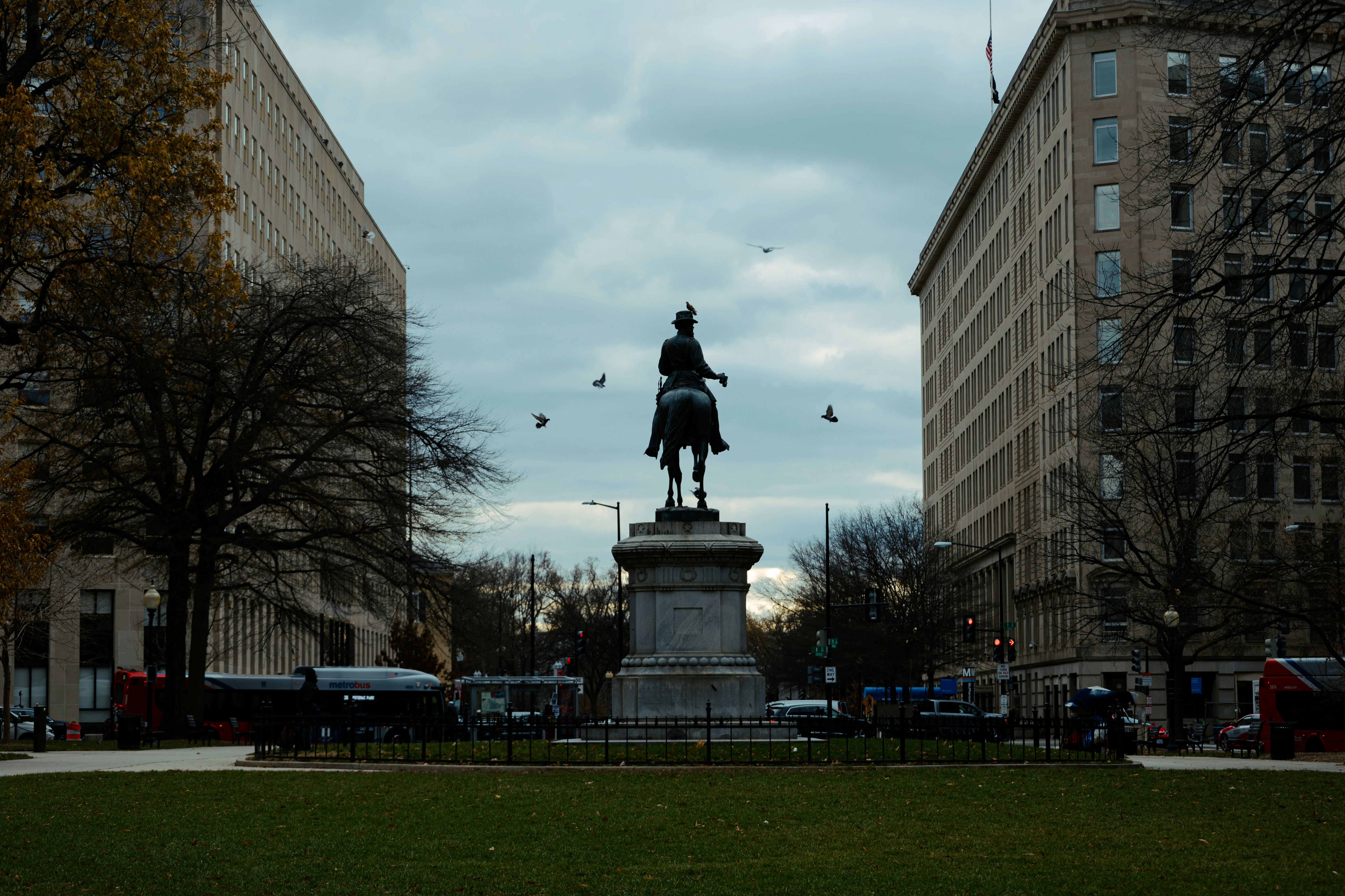 Statue in the City: An Equine Figure Framed by Skyscrapers and Birds