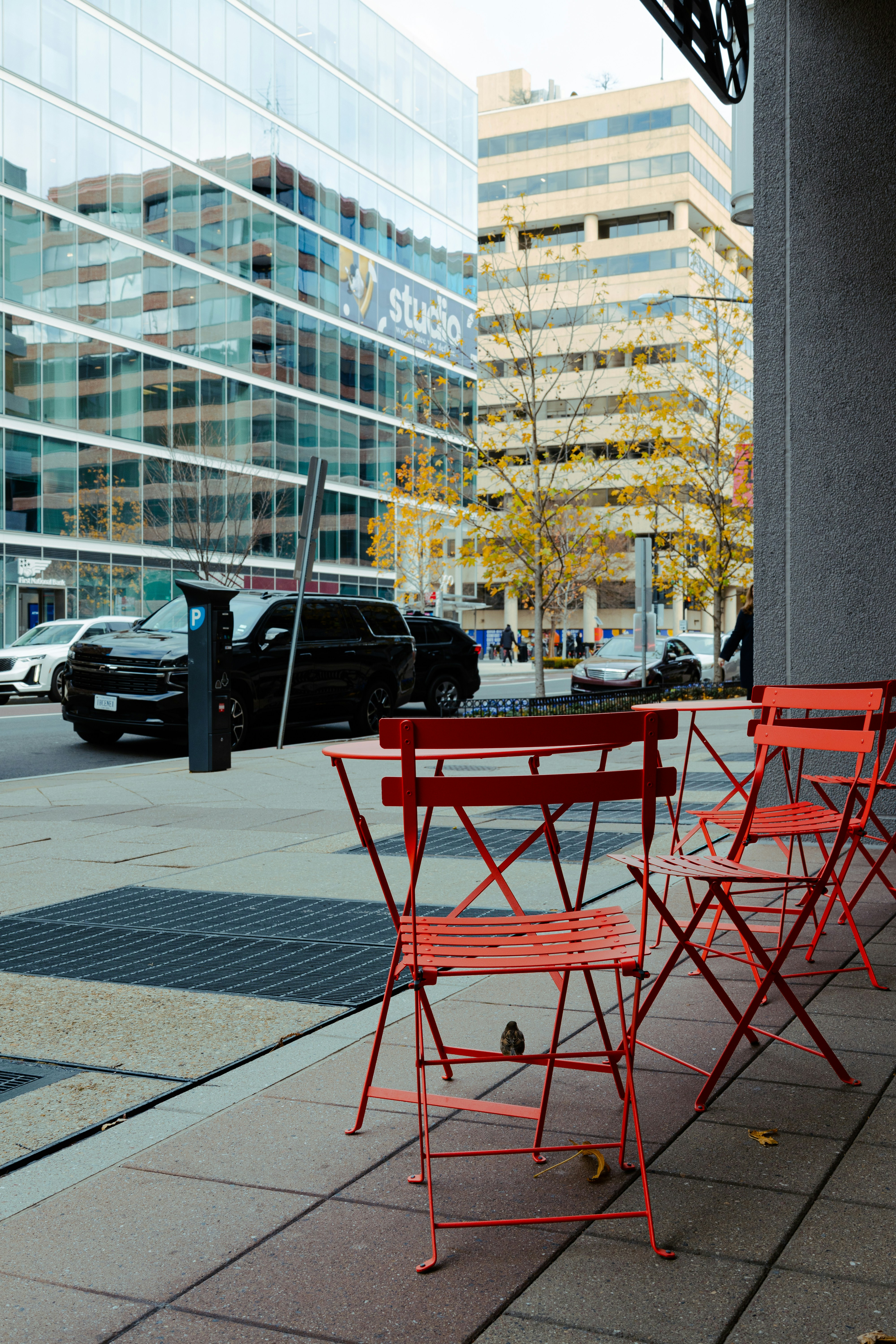 Red Folding Chairs Along a City Sidewalk: A Tiny Dog Beneath Glass Facades