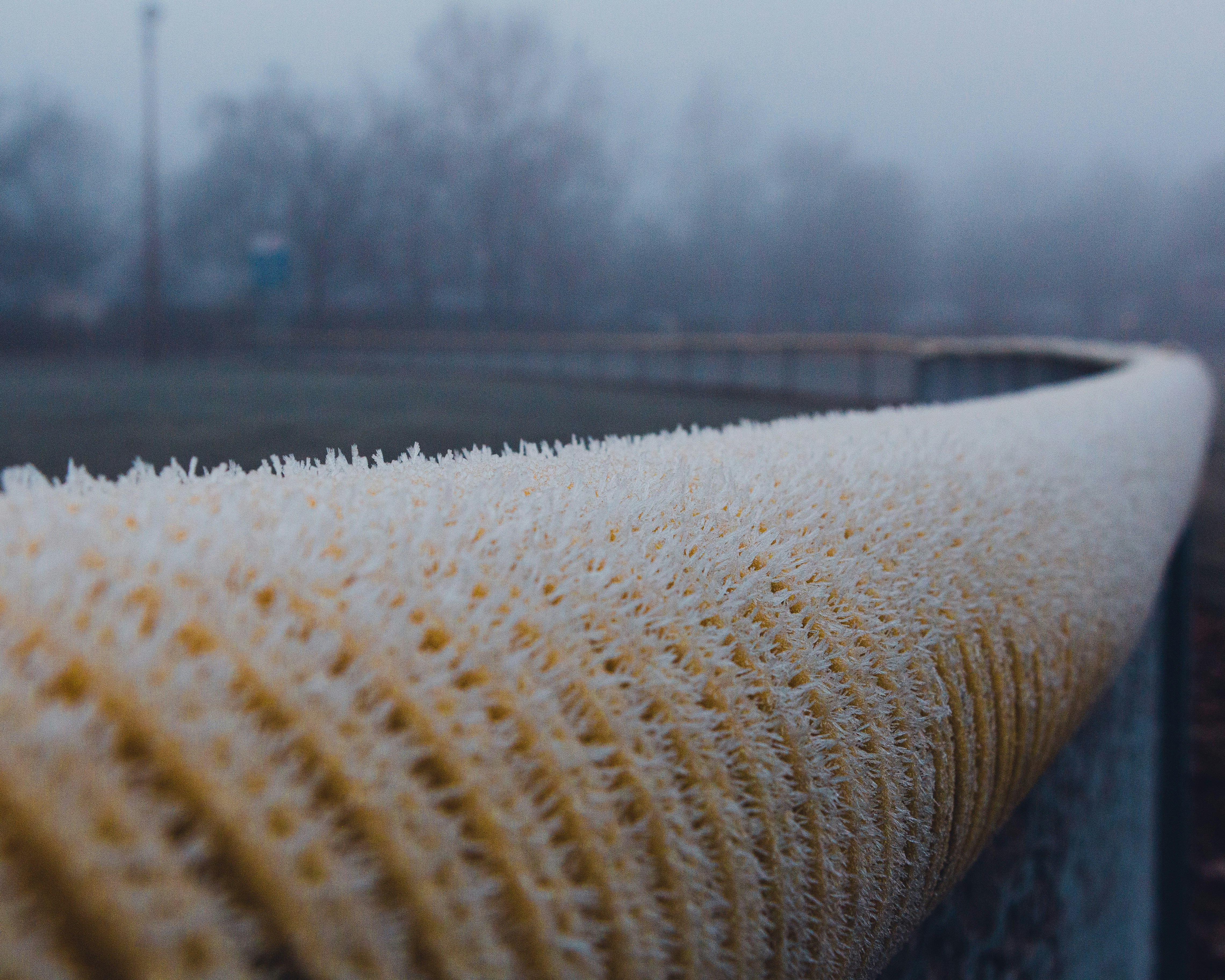 Frosted Field: A Close-up of Textured Comfort Curving into a Cold Horizon